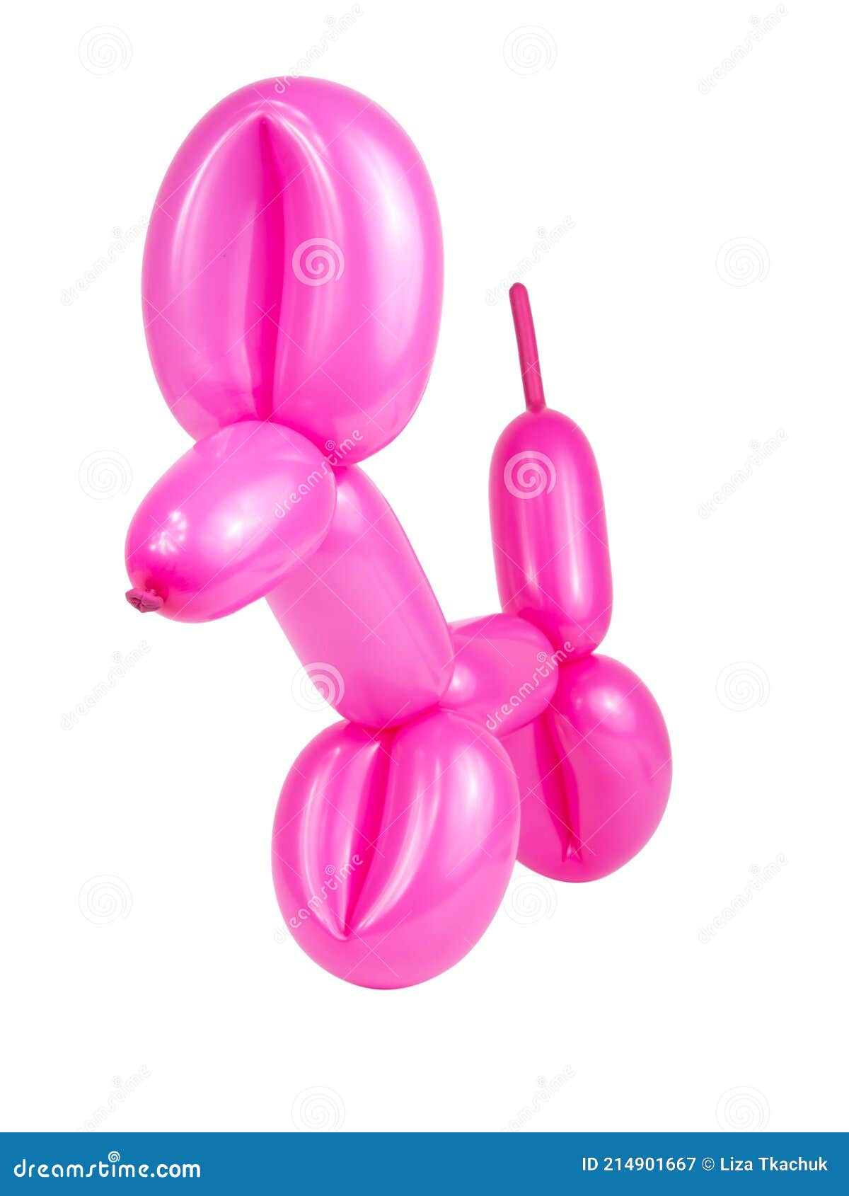 Fiesta Rosa Globo Perro Aislado Sobre El Fondo Blanco Imagen de archivo ...