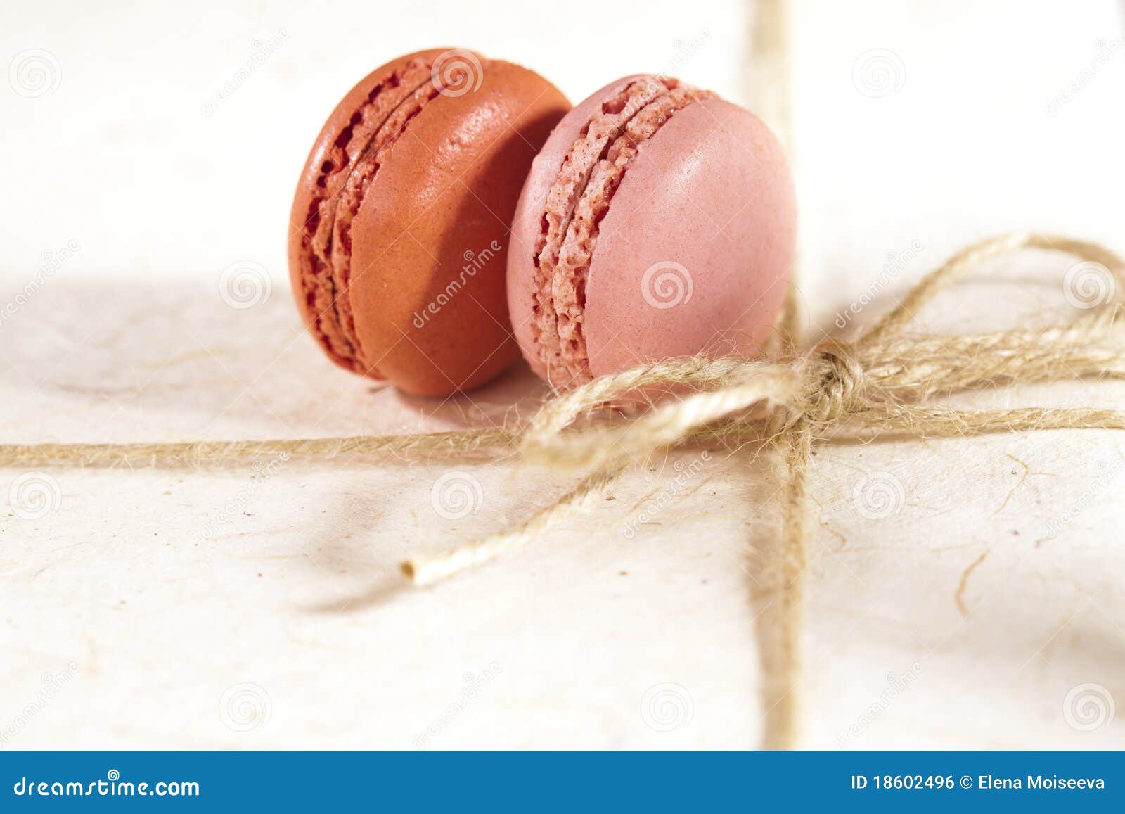 Fiestive Macarons on Gift Present Box Bow Stock Photo - Image of multi ...
