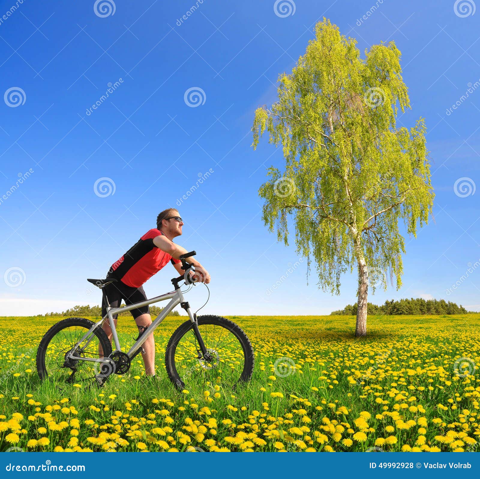 Fietser met de bergfiets stock foto. Image of berg, openlucht - 49992928