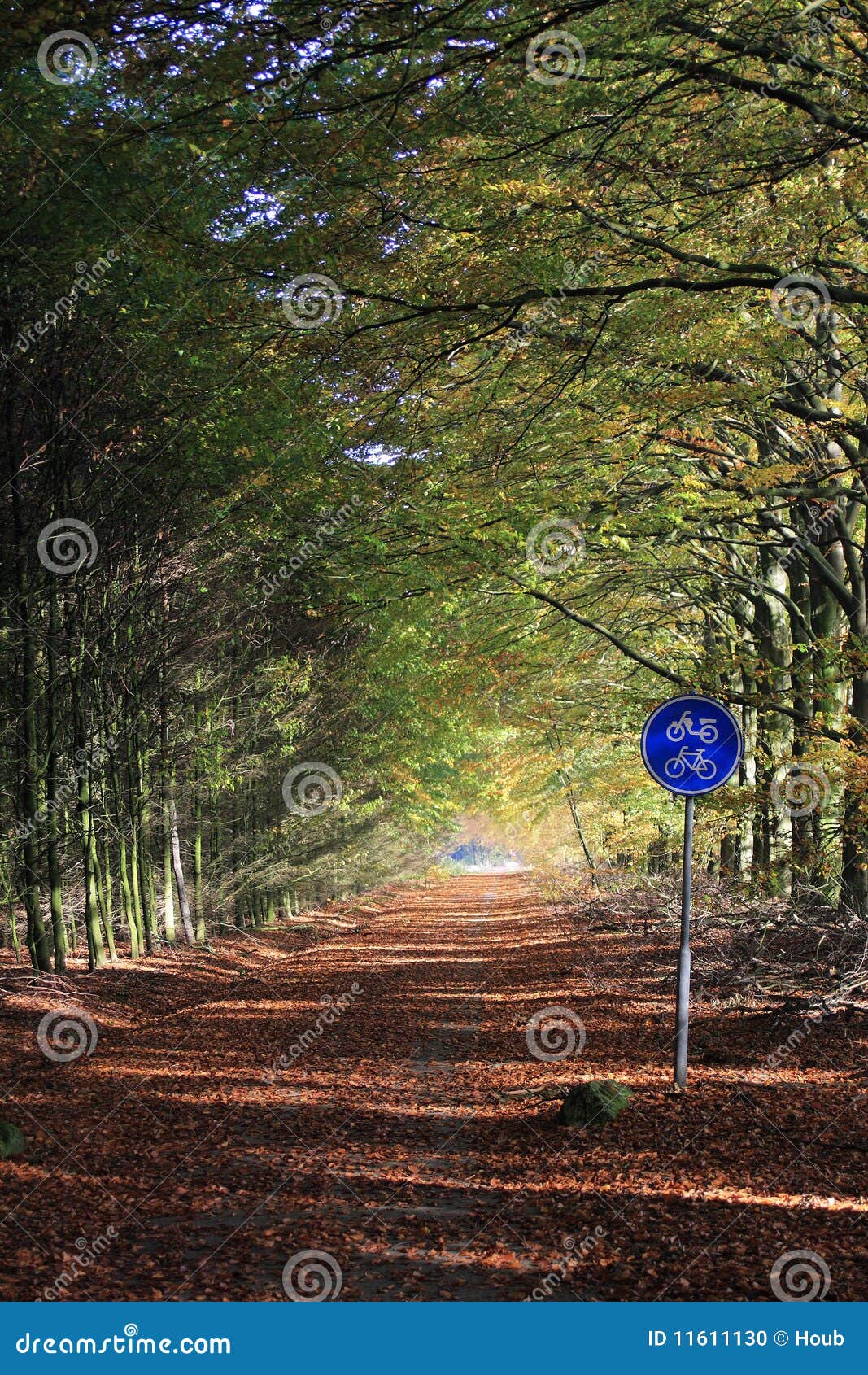 Fietspad in bos stock foto. Image of najaar, daling, kleurrijk - 11611130