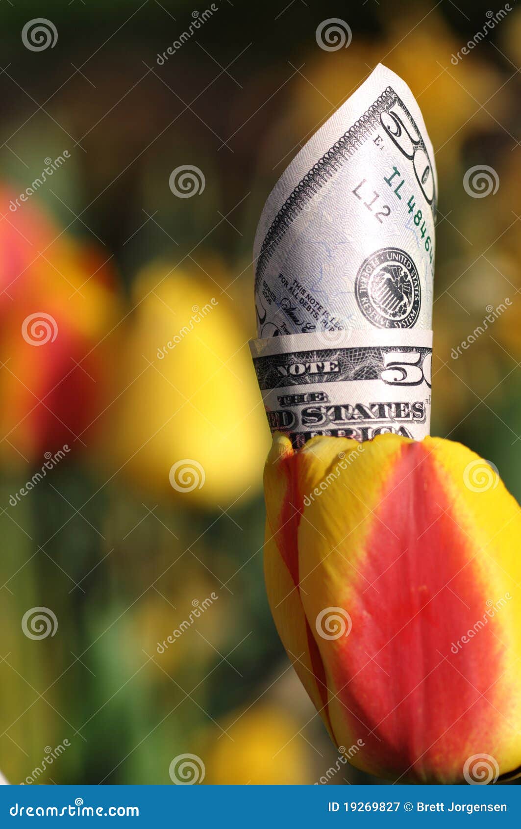 111 Fifty Dollar Bill Frame Stock Photos - Free & Royalty-Free Stock ...