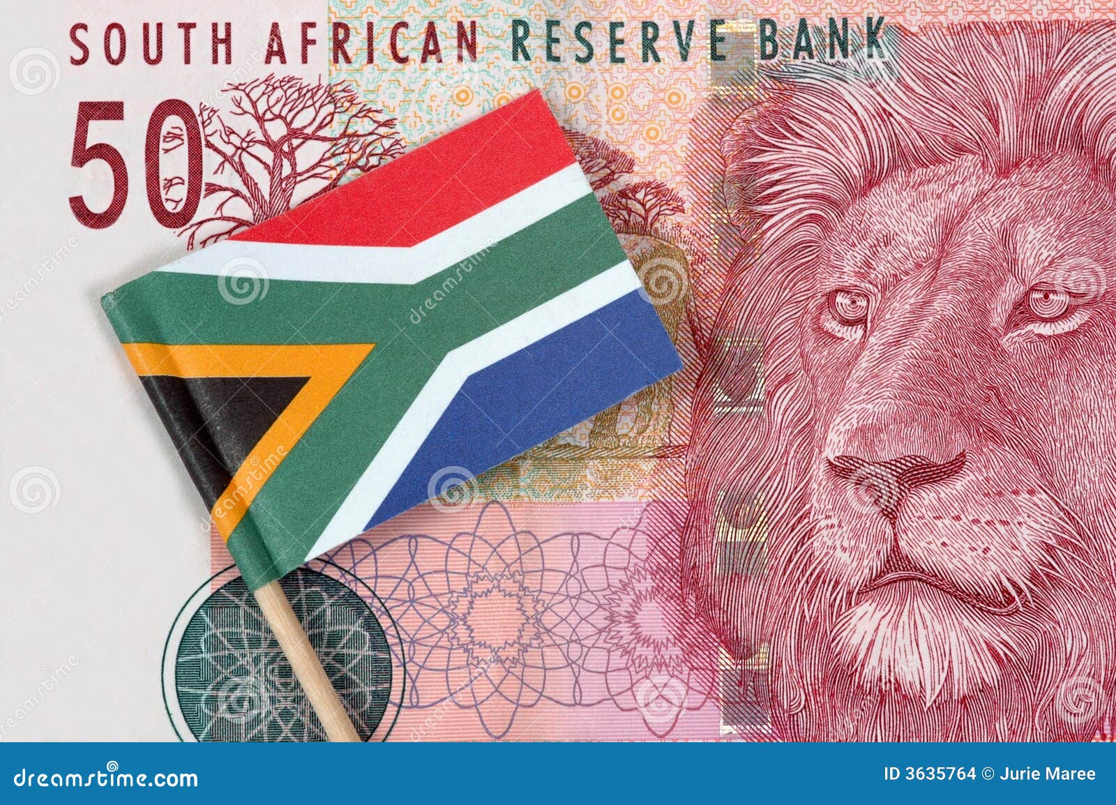 Fifty Rand stock photo. Image of south, finance, save - 3635764