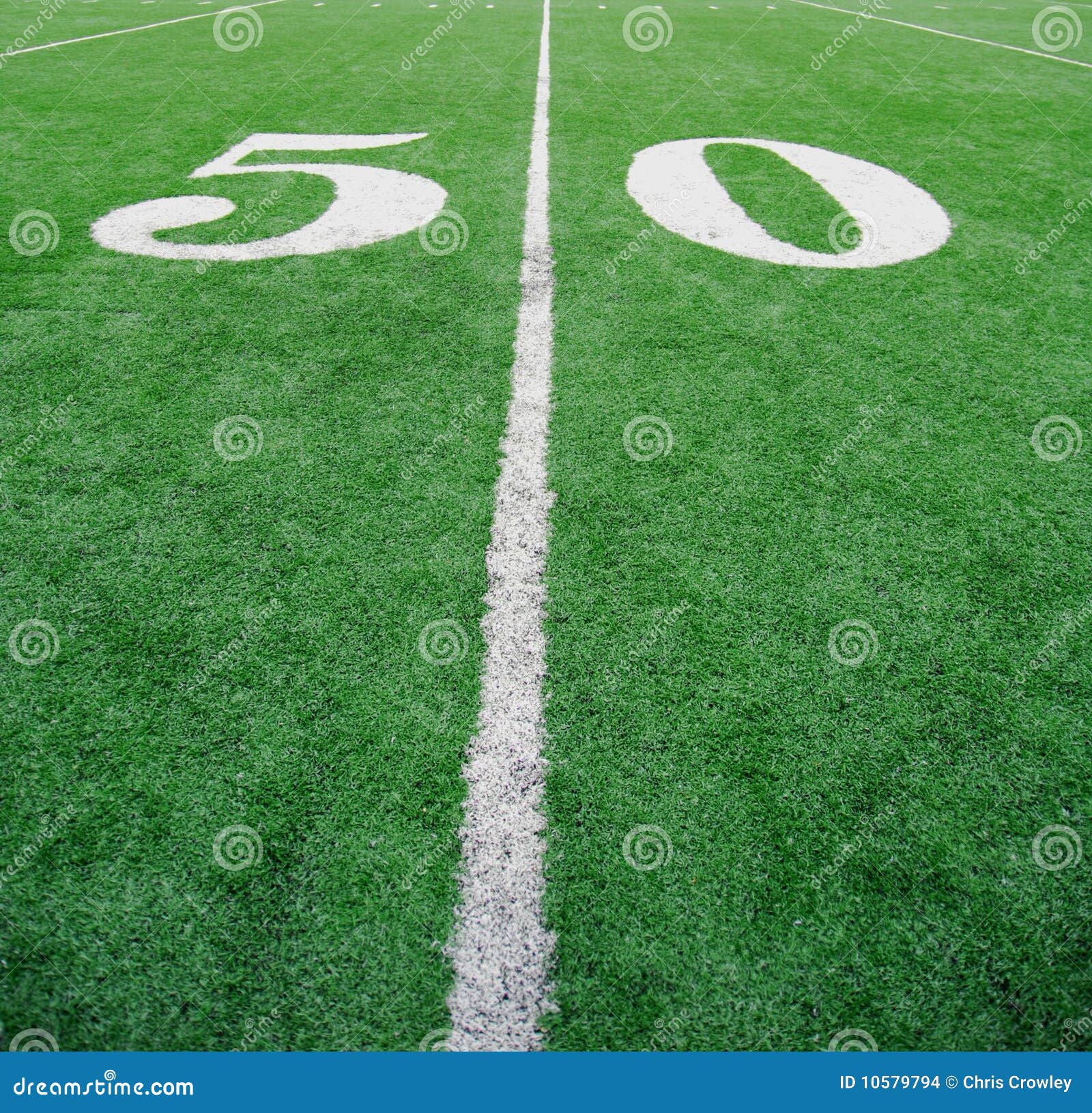 Fifty Yard Line stock photo. Image of field, stadium - 10579794