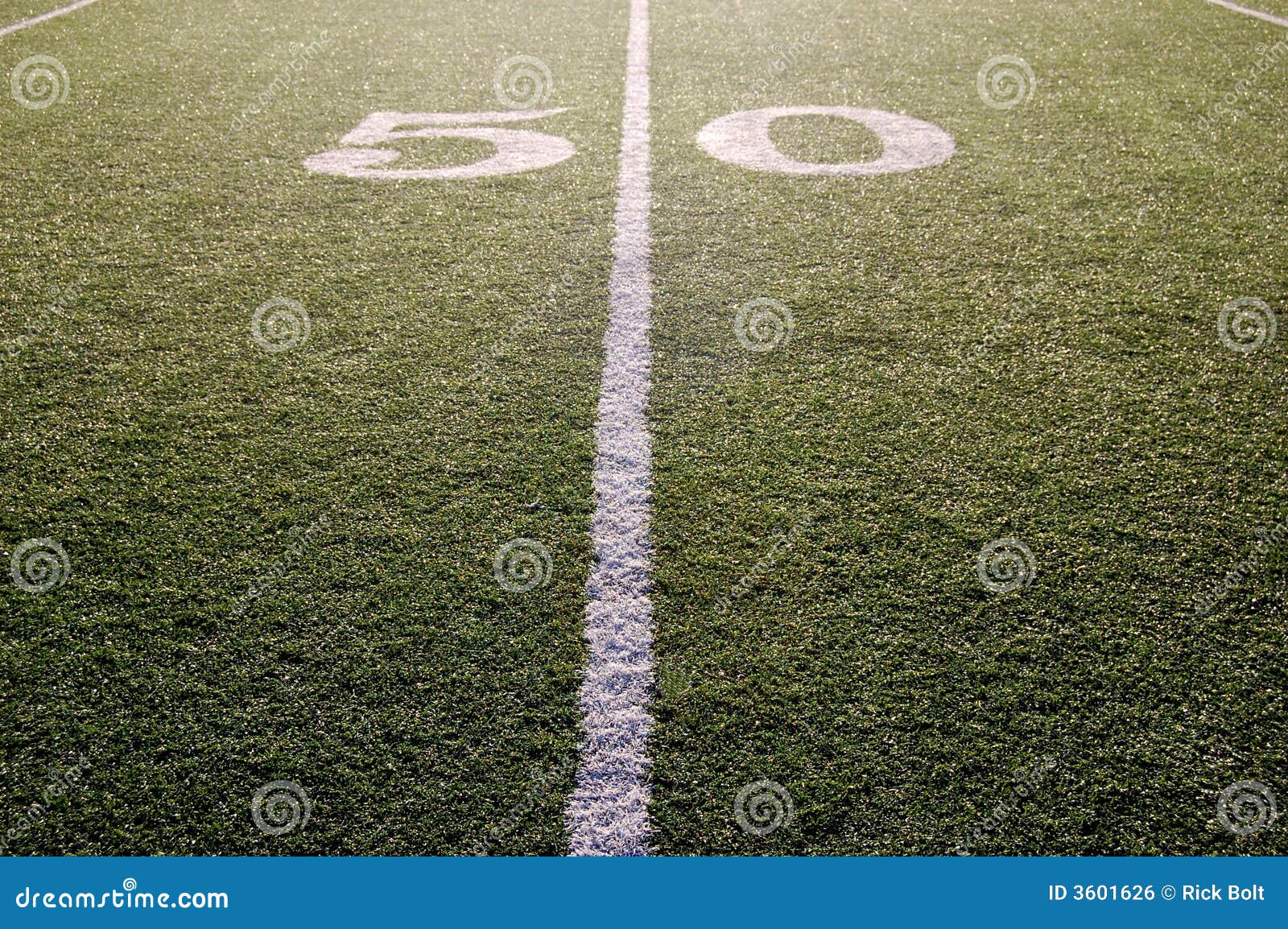 Fifty Yard Line Picture. Image: 3601626