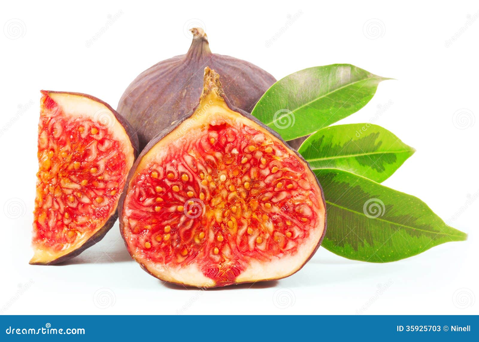 Fig stock image. Image of circle, nutrient, gourmet, nature - 35925703