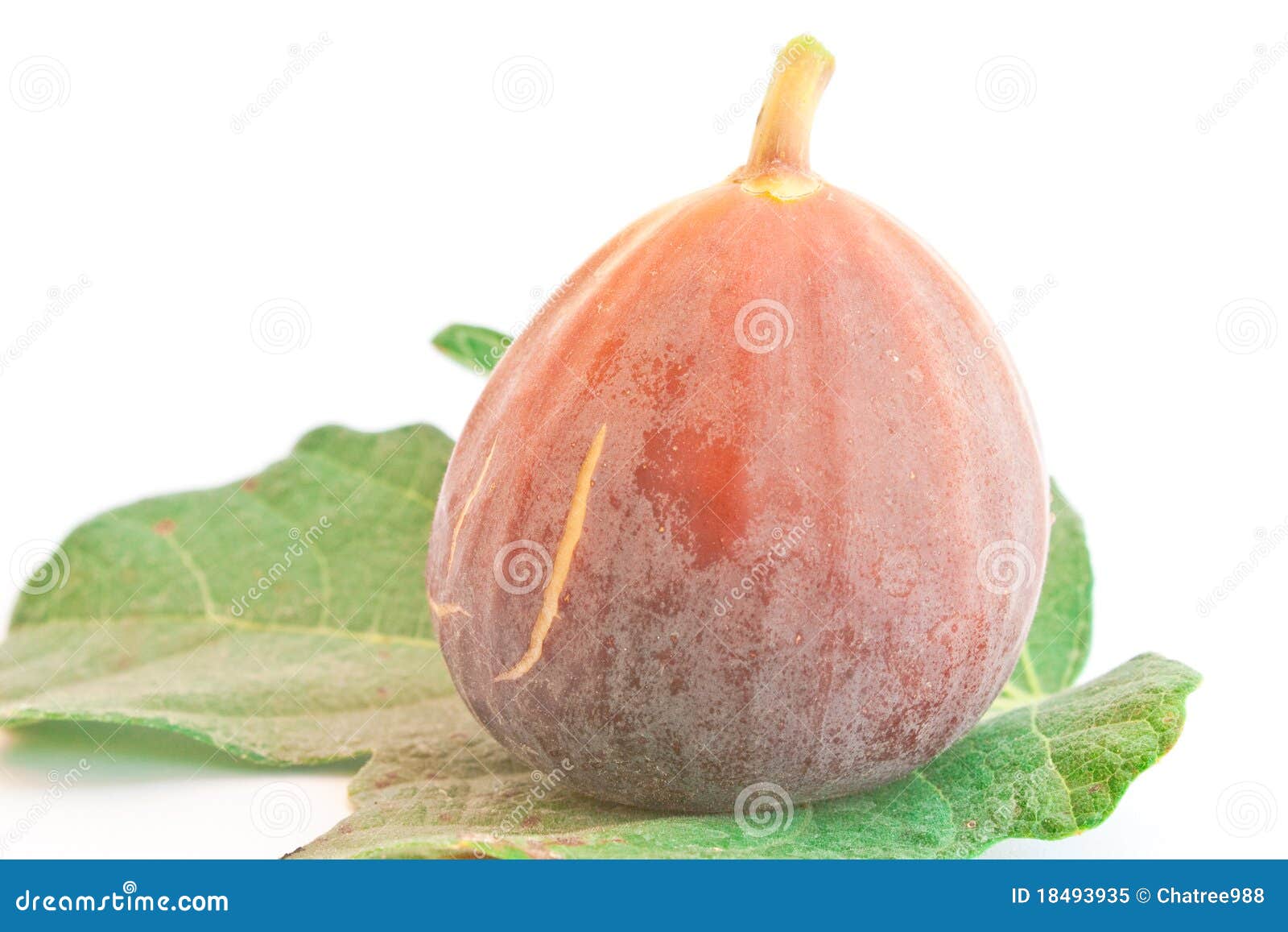 Fig fruit stock image. Image of fruit, nutrition, isolated - 18493935