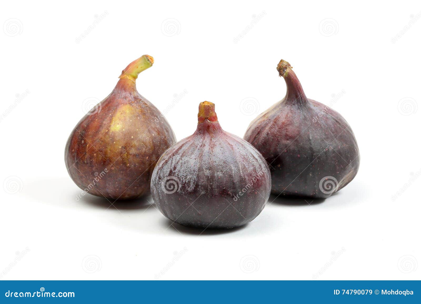 Fig Fruit Flower stock image. Image of closeup, ingredient - 74790079