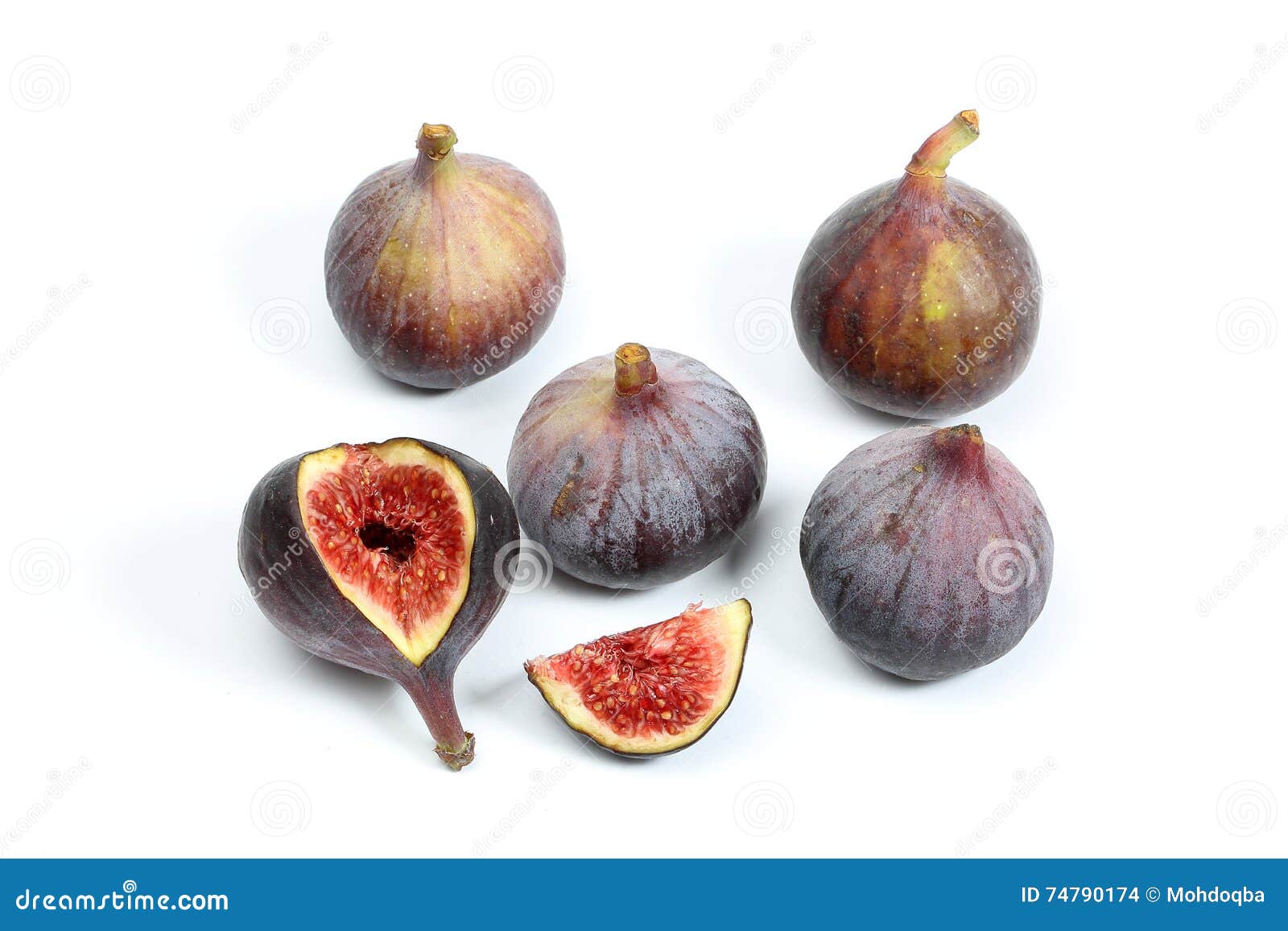 Fig Fruit Flower stock photo. Image of purple, organic - 74790174