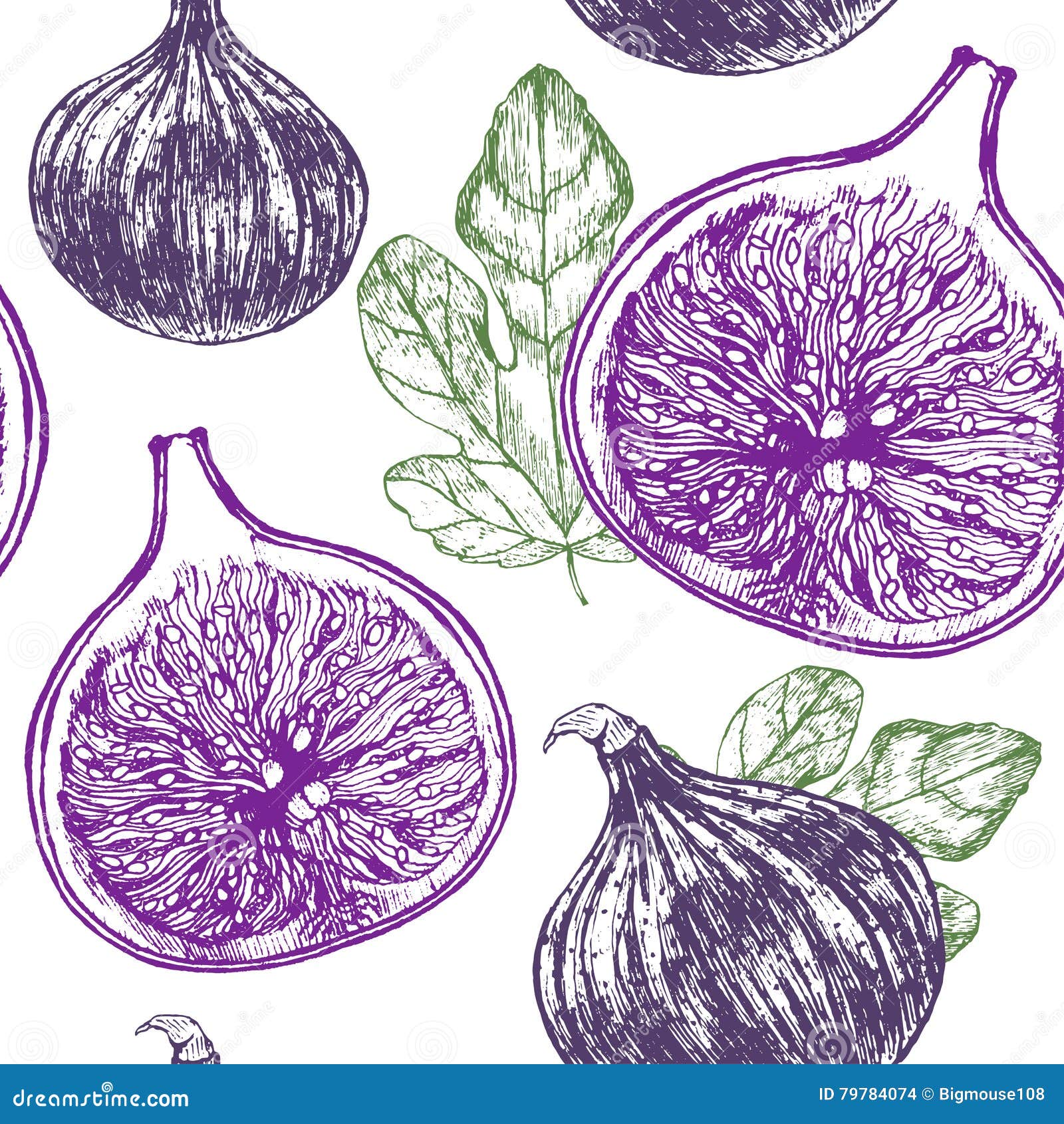 Fig Fruit Drawing
