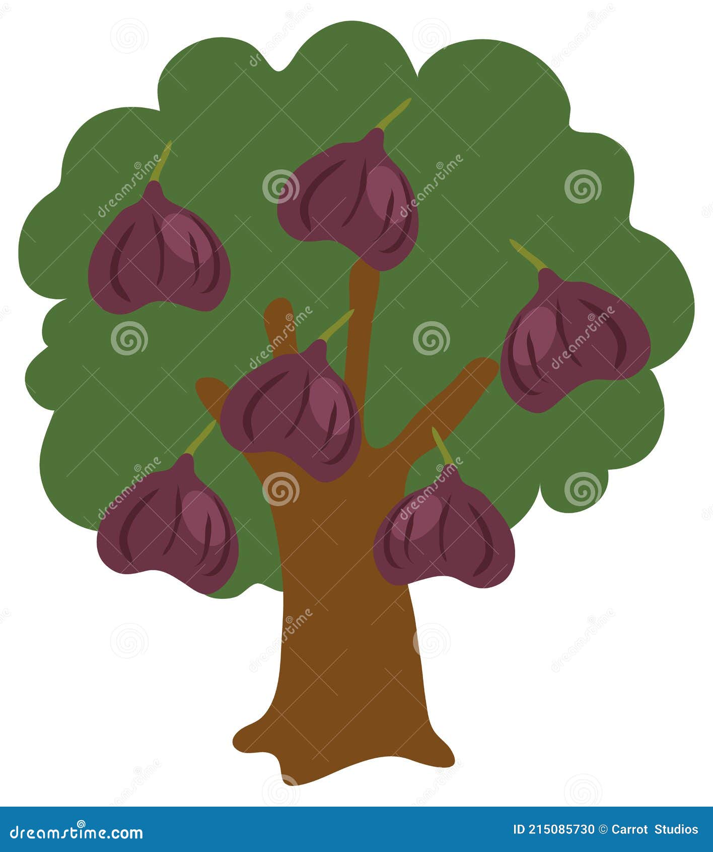 Fig Fruit Tree Vector Illustration Stock Vector - Illustration of stem ...