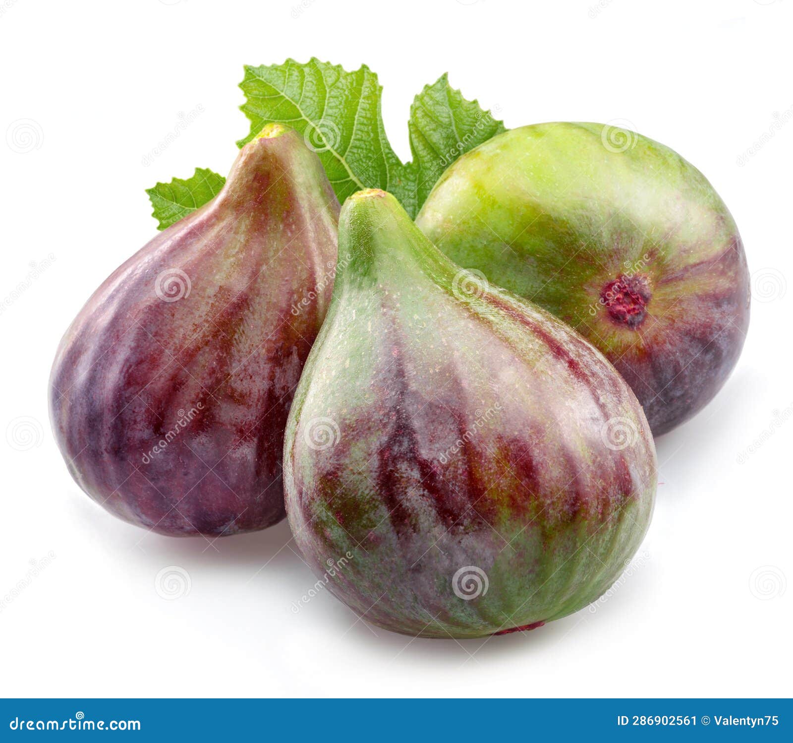 Fig Fruits with Fig Leaves Isolated on White Background Stock Image ...