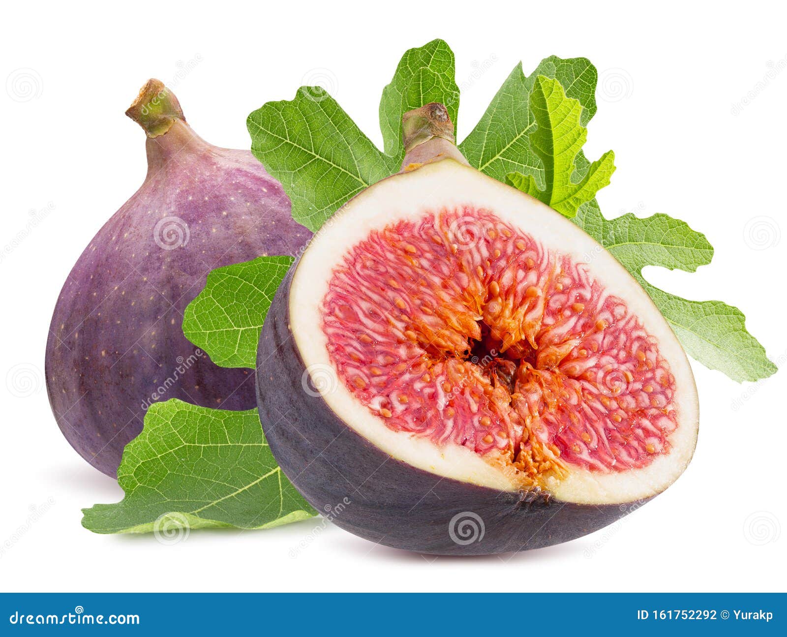 Fig with Half of Fig and Leaves Isolated on a White Background Stock ...