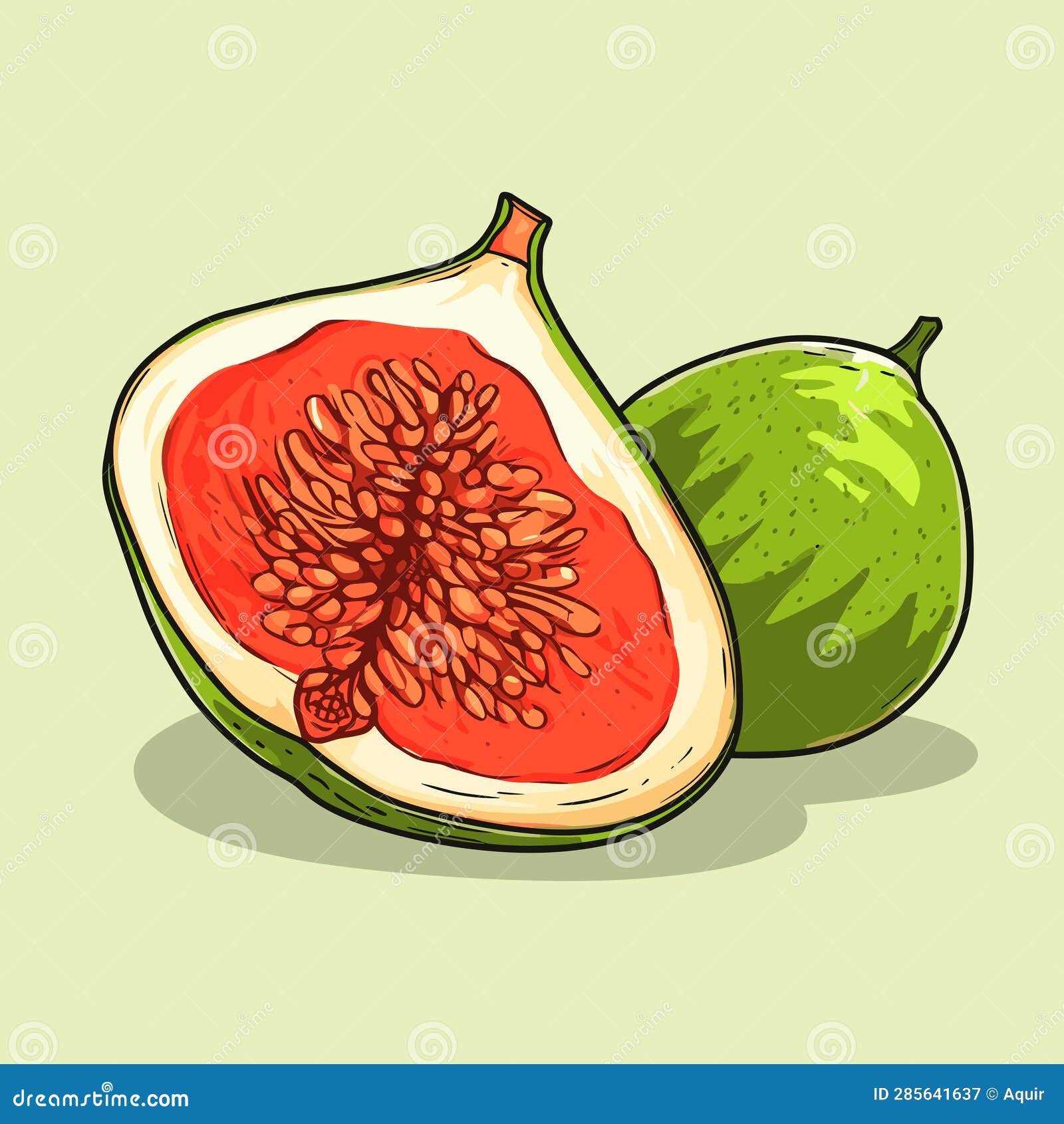 Fig Hand-drawn Illustration. Fig. Vector Doodle Style Cartoon ...