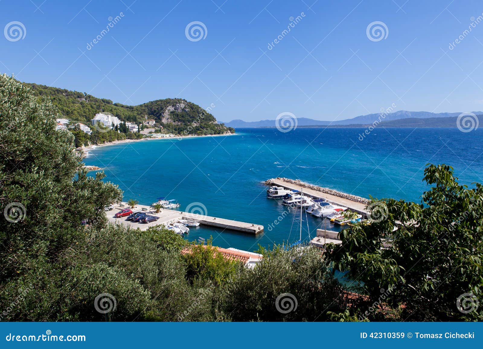 Fig in Igrane stock image. Image of dalmatian, coastline - 42310359