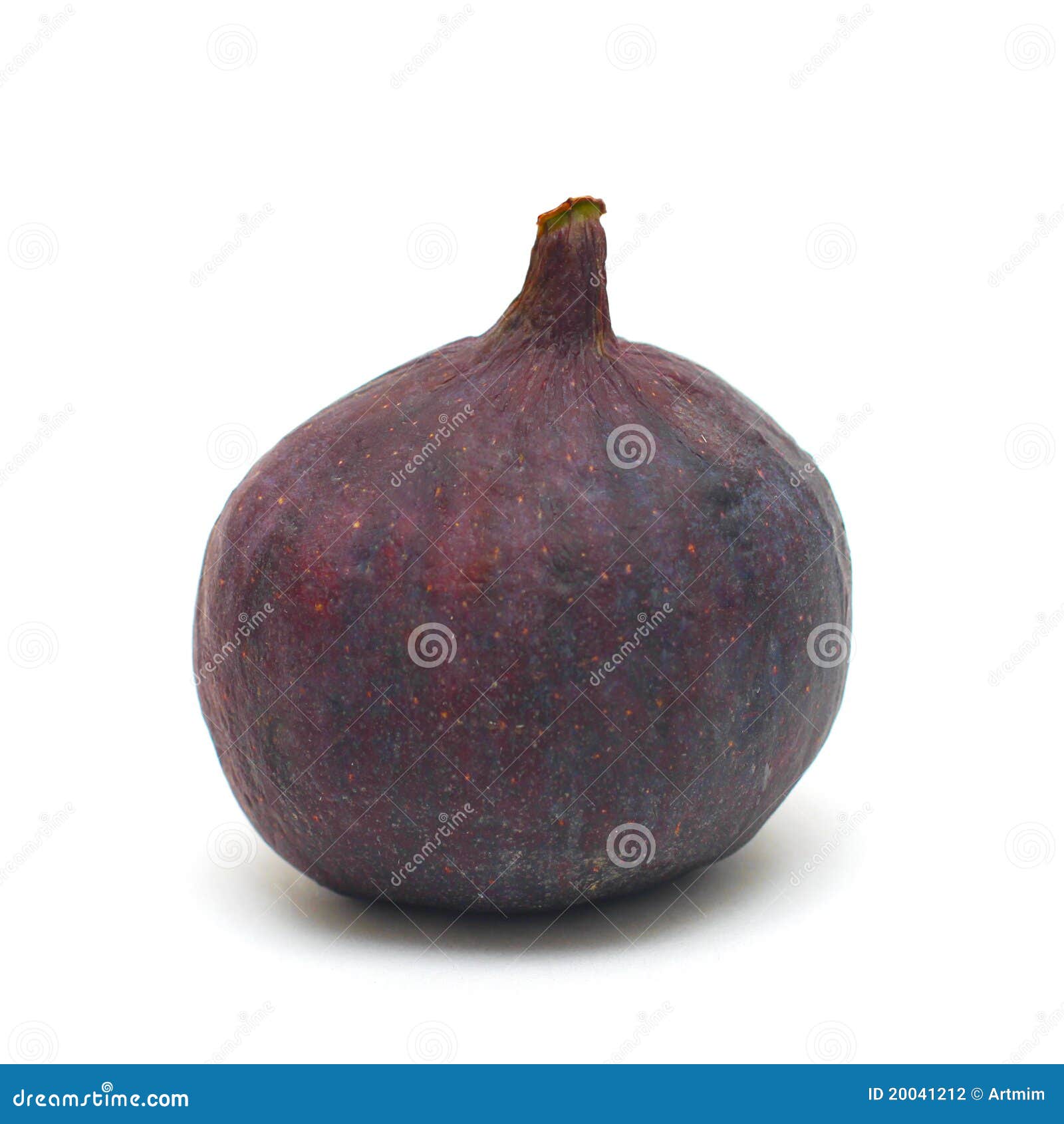 Fig isolated on white stock photo. Image of healthy, exotic - 20041212