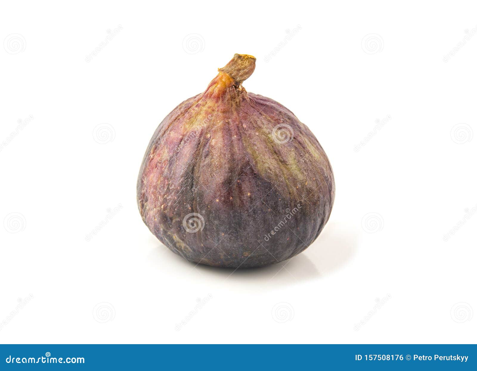 Fig isolated stock photo. Image of freshness, purple - 157508176