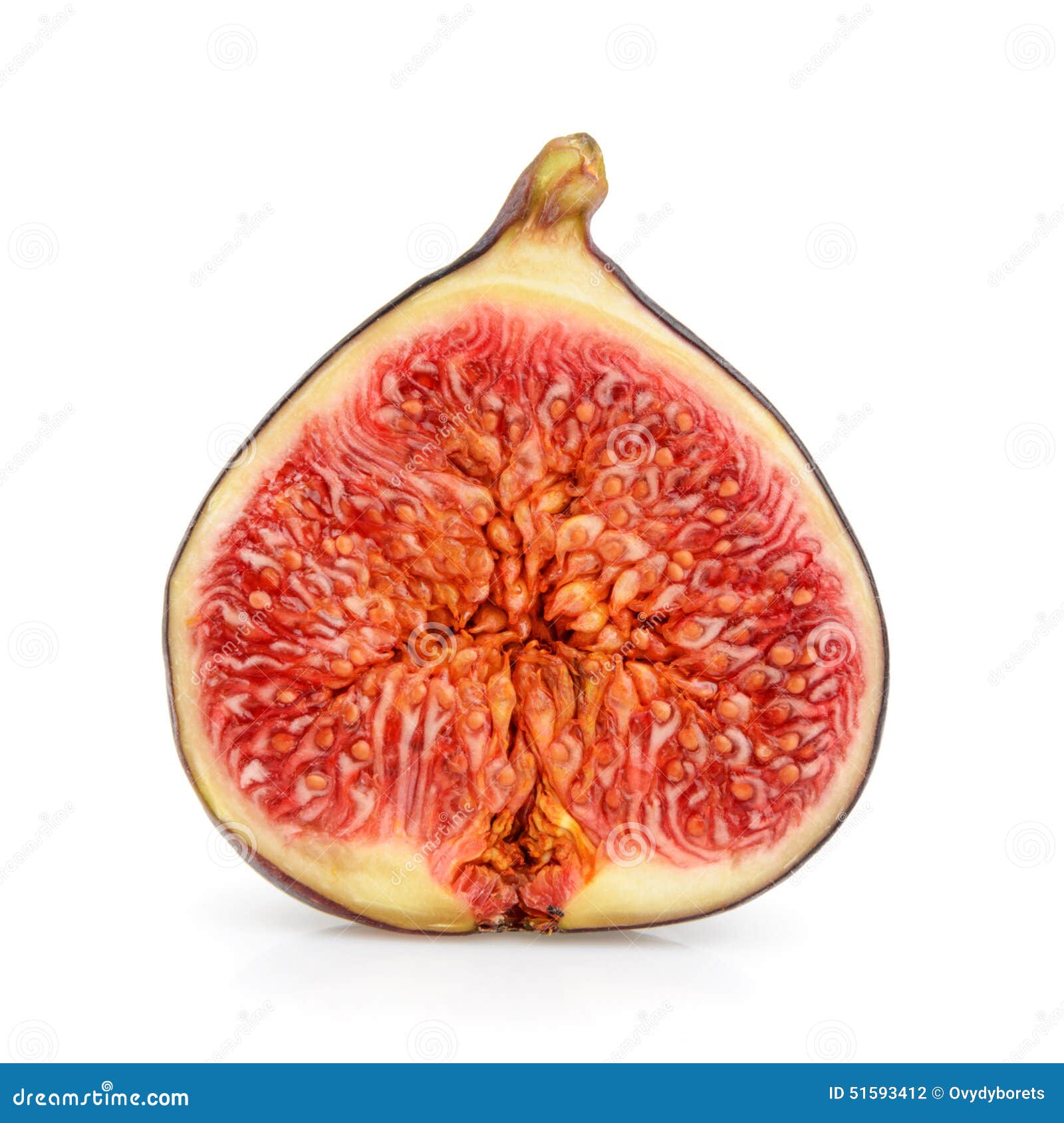 Fig isolated on white stock photo. Image of vitamin, ingredient - 51593412