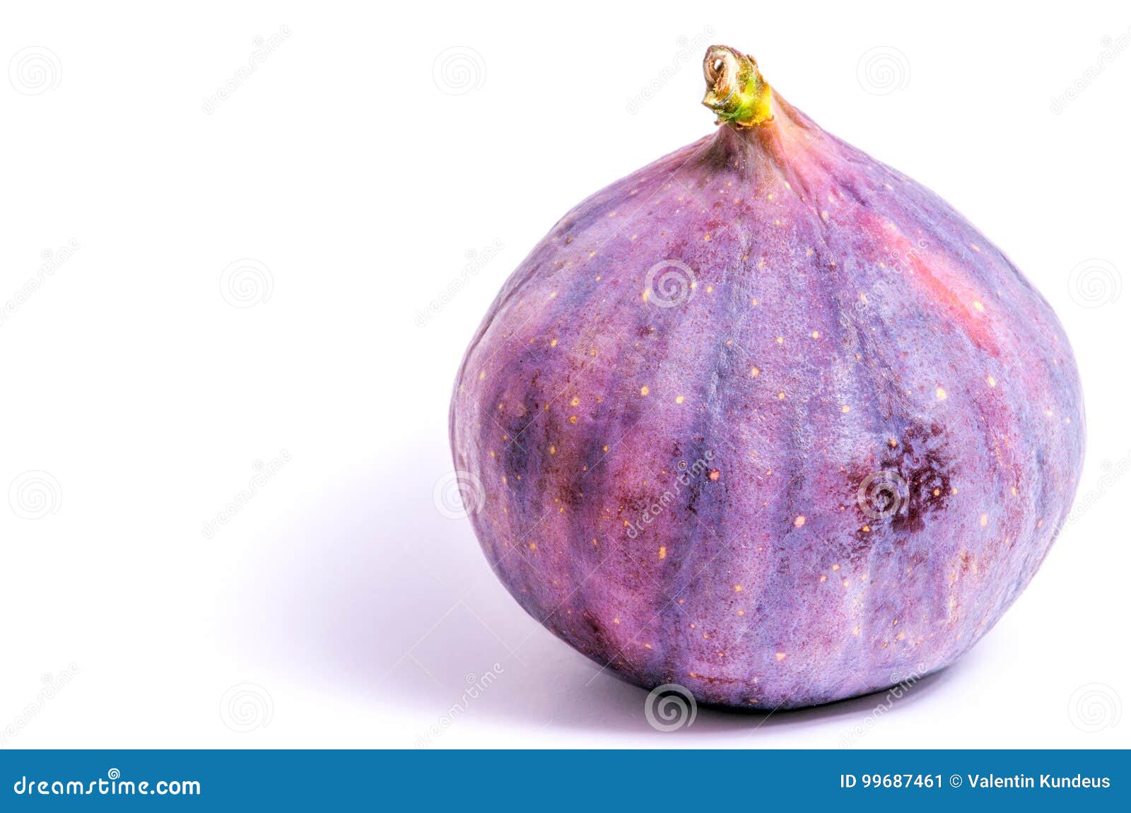 Fig isolated on white stock image. Image of nutrition - 99687461