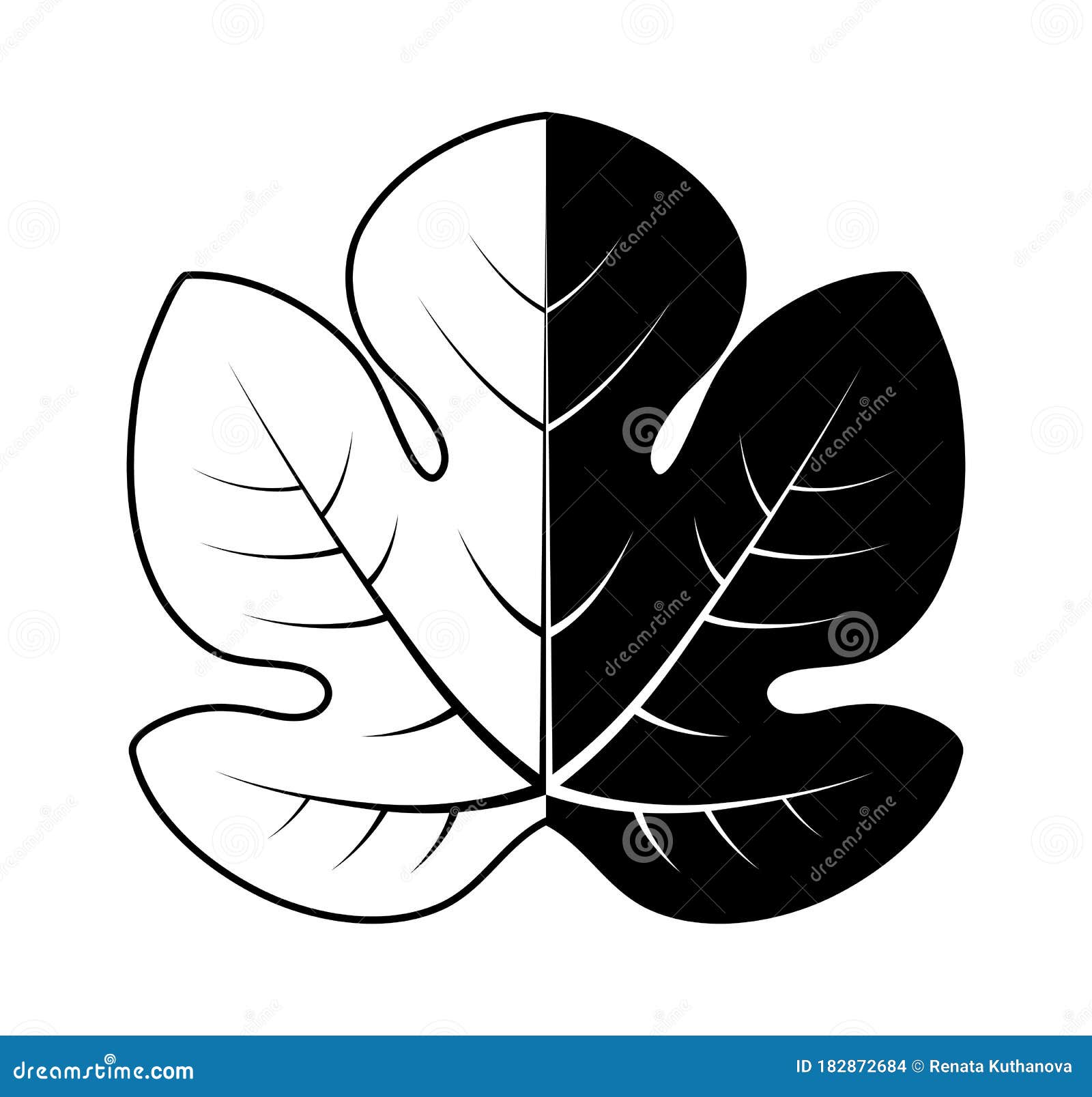 Fig leaf stock vector. Illustration of growth, tree - 182872684