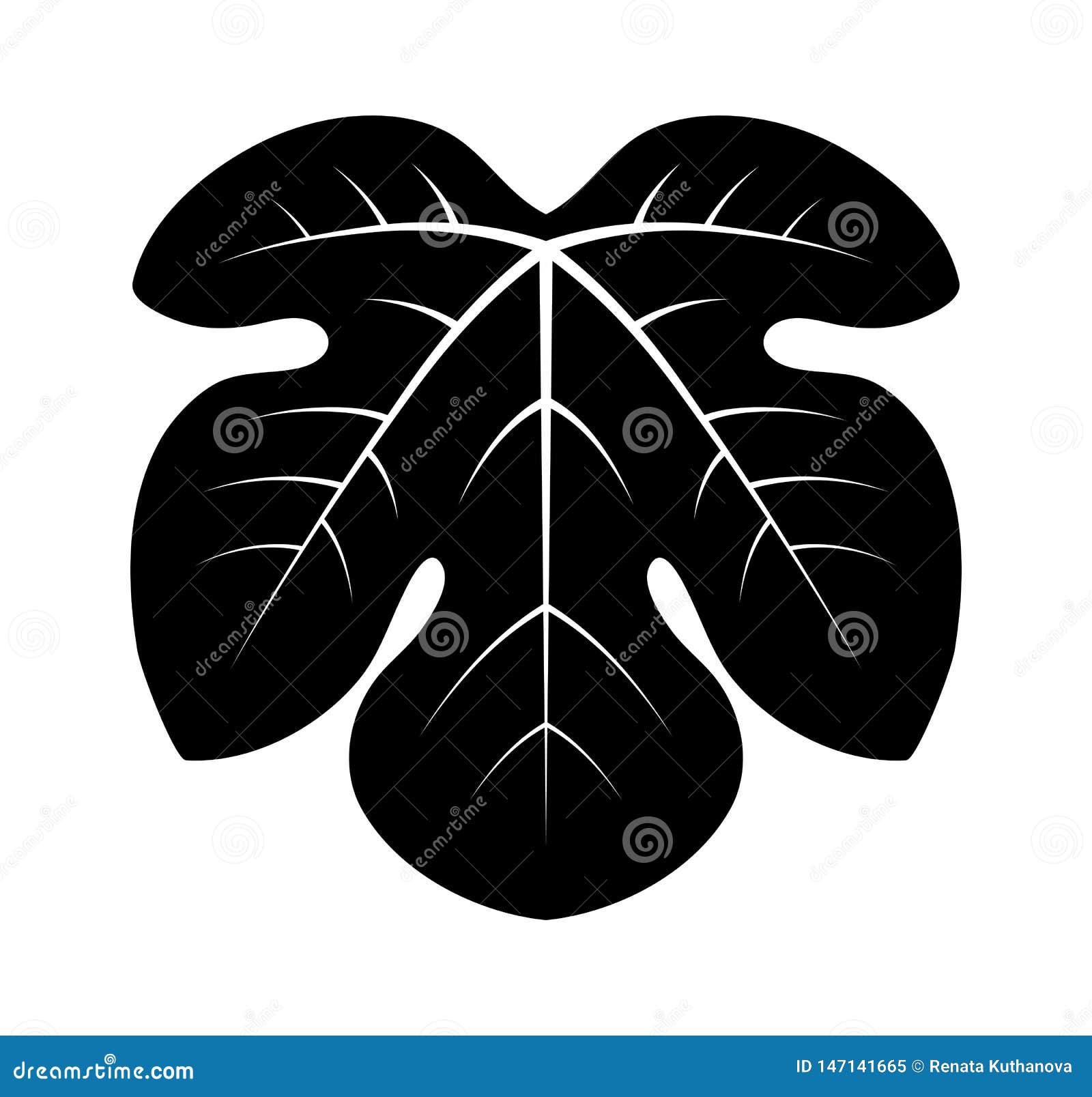 Fig leaf stock vector. Illustration of exotic, botanical - 147141665
