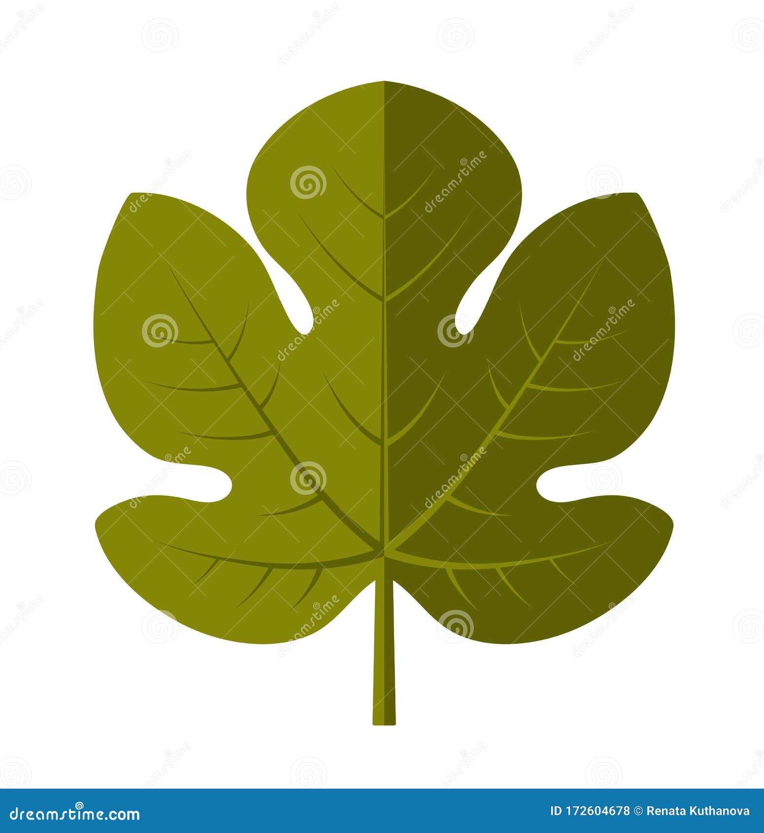 Fig leaf stock vector. Illustration of tropical, botanical - 172604678