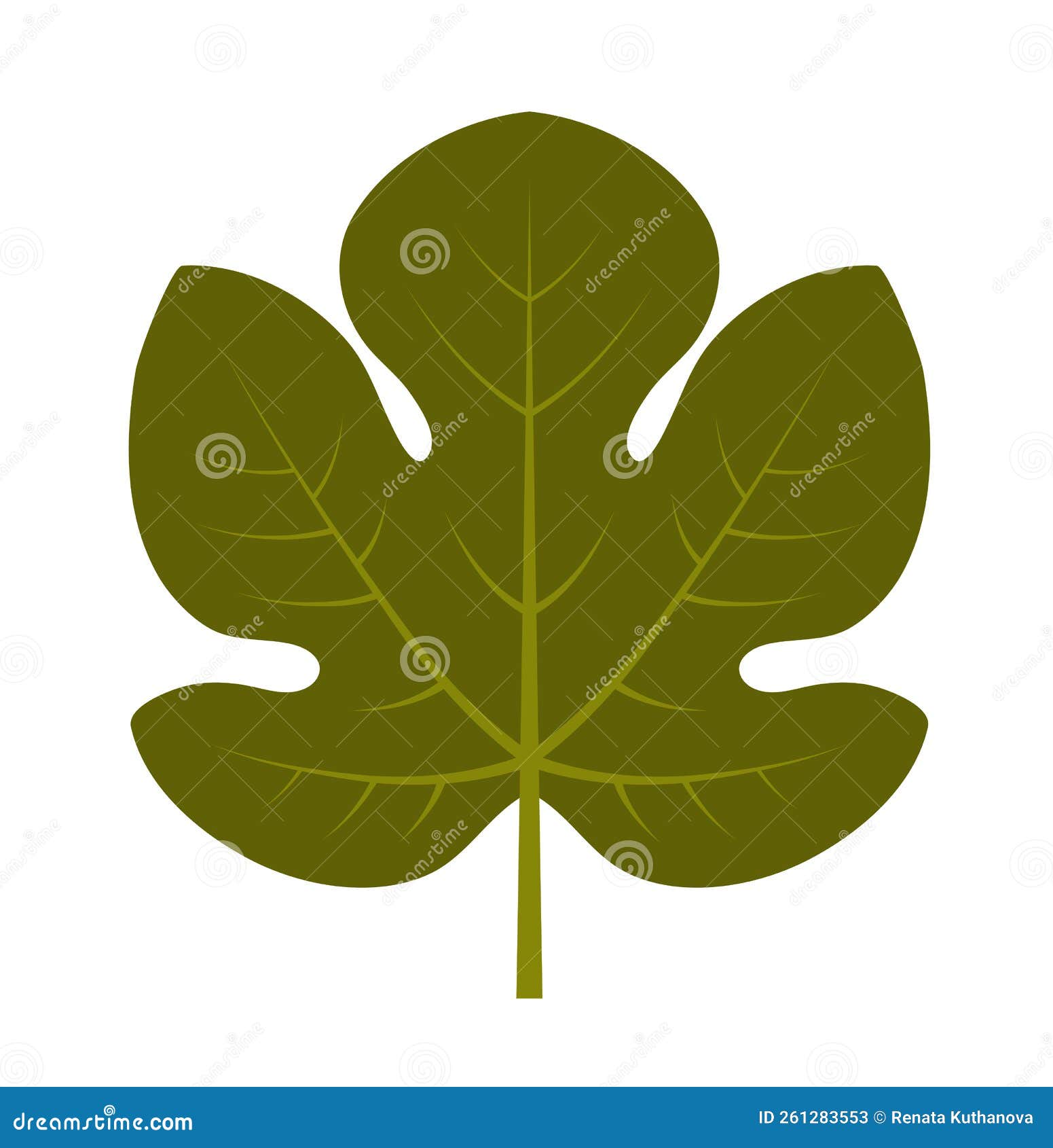 Fig leaf stock vector. Illustration of flora, background - 261283553