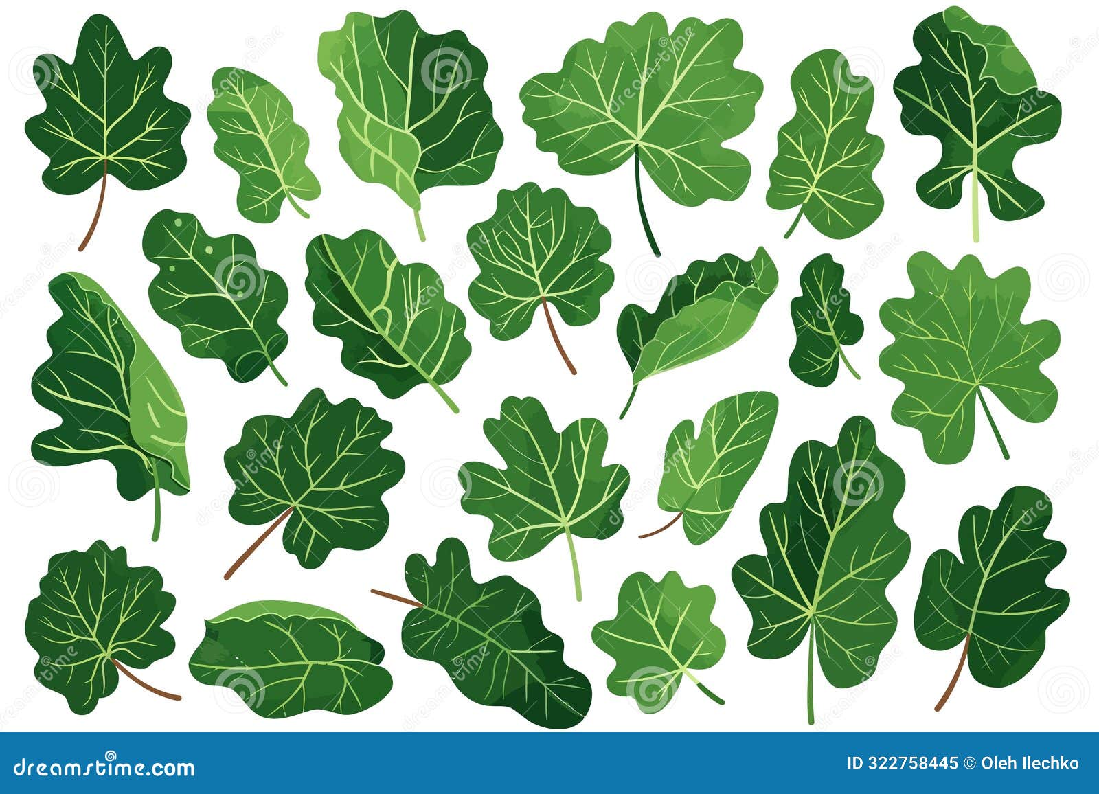 Fig Leaves with Wavy Edges Isolated Vector Style Stock Vector ...