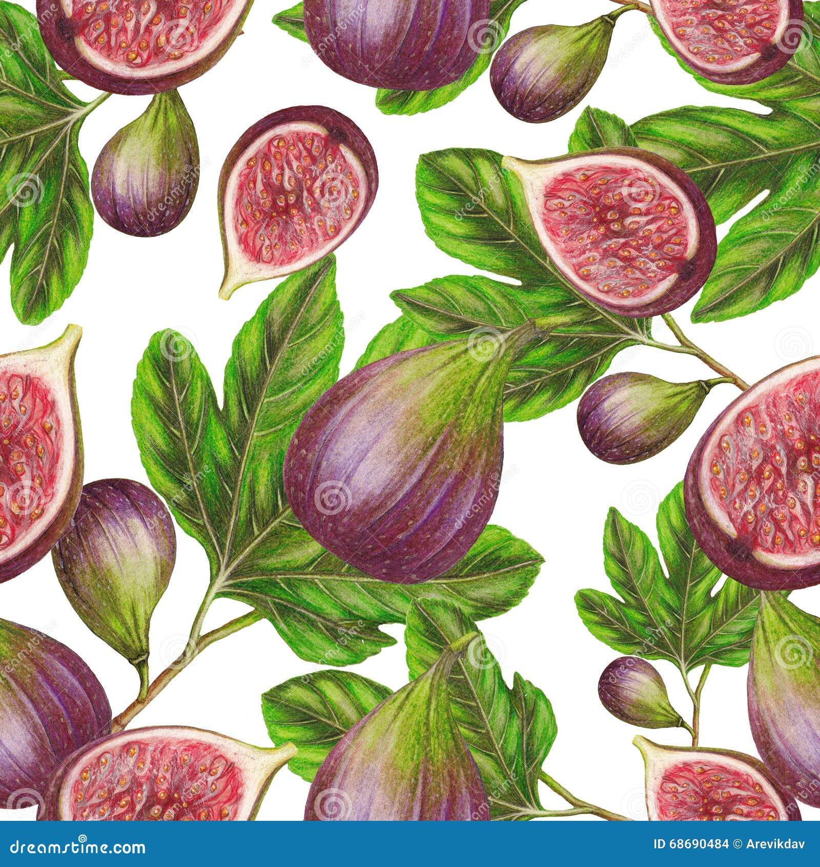 Fig pattern stock illustration. Illustration of drawn - 68690484