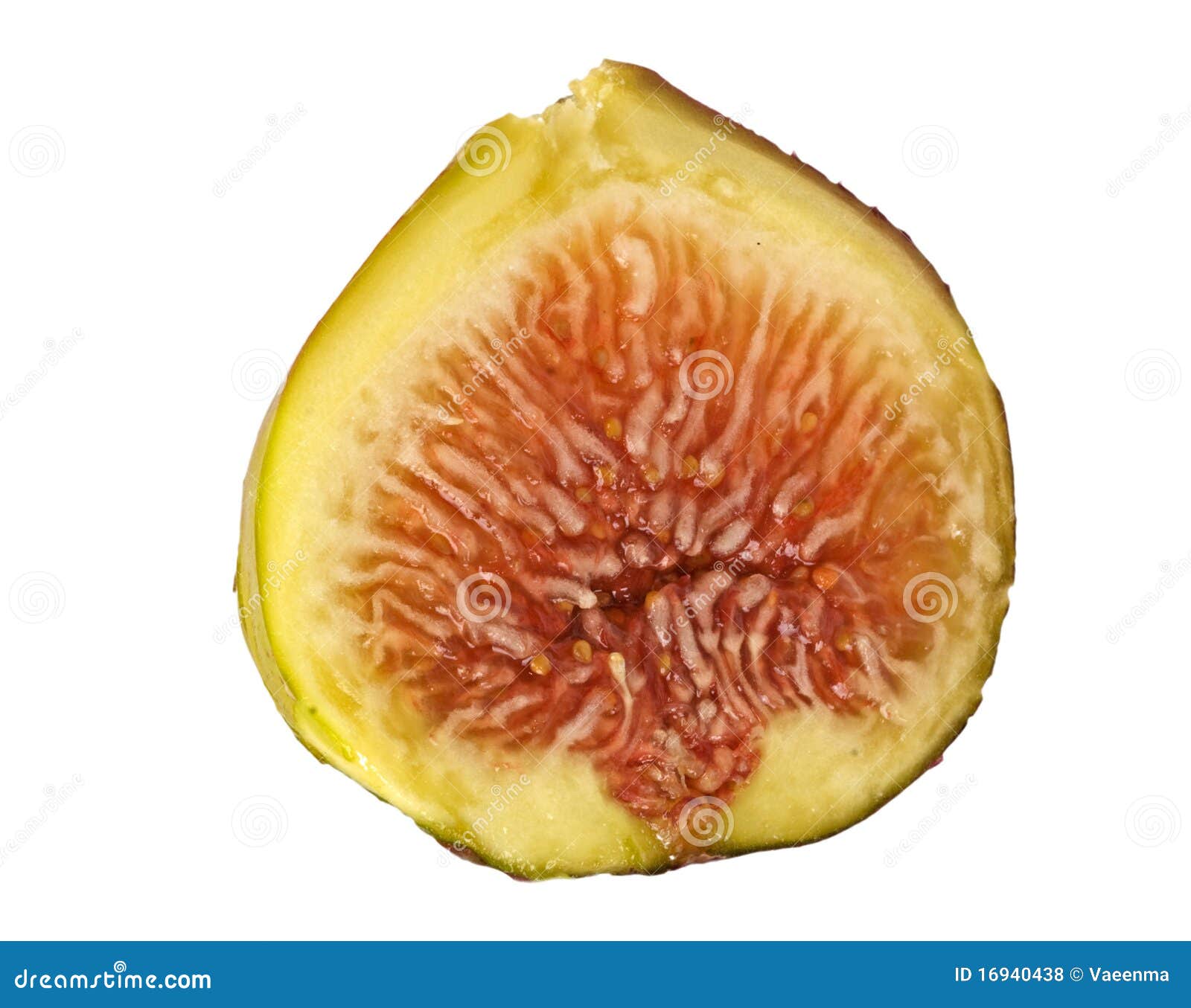 Fig section stock photo. Image of isolated, ripe, cross - 16940438