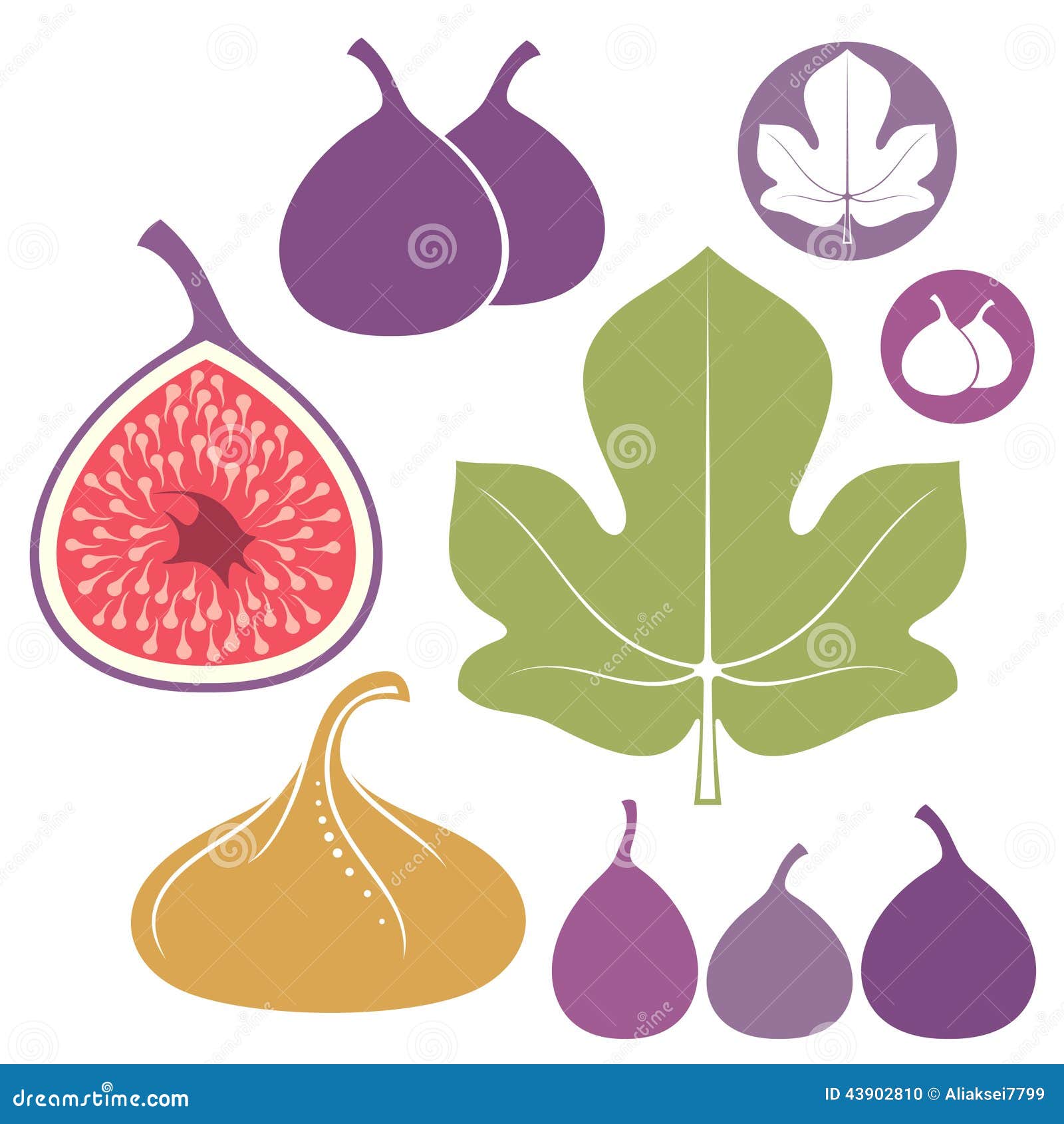 Fig Logo Stock Illustrations – 803 Fig Logo Stock Illustrations ...