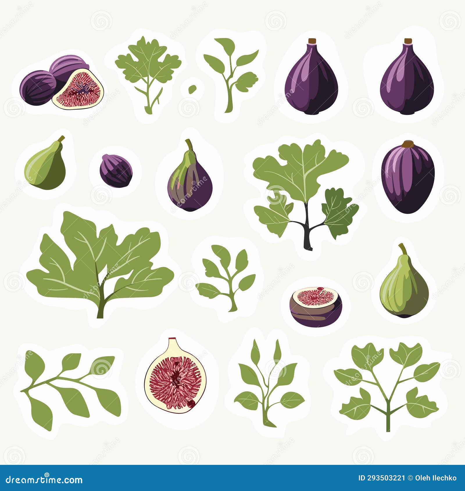 Fig Set Vector Flat Minimalistic Isolated Illustration Stock Vector ...