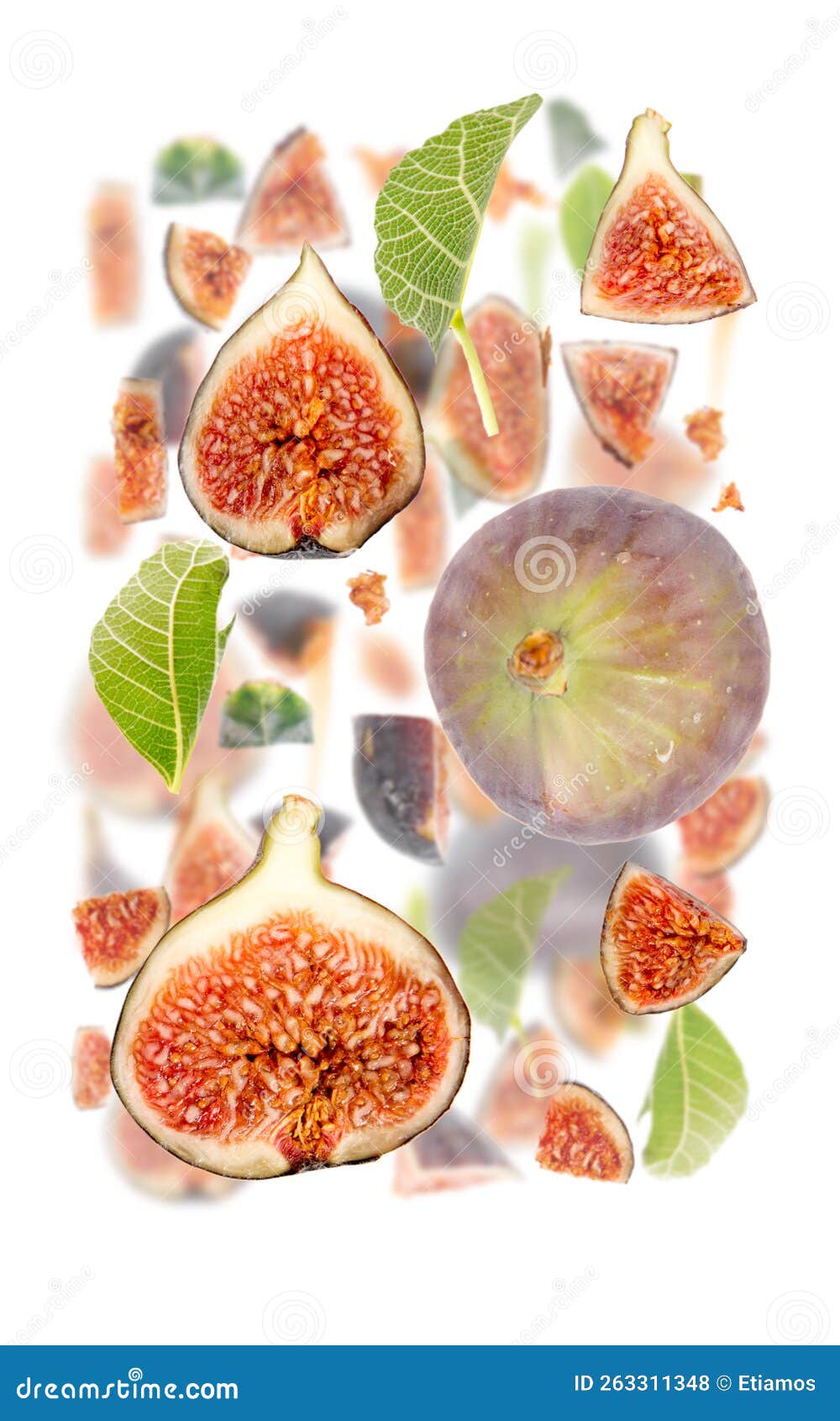 Fig Slice and Leaf Abstract Stock Photo - Image of crop, abstract ...