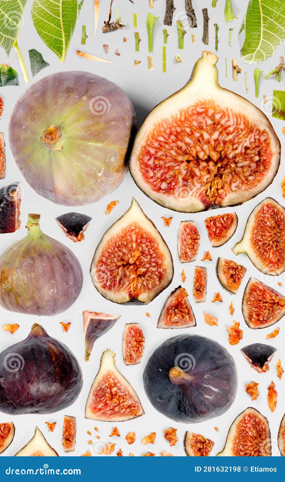 Fig Slice and Leaf Collection Stock Photo - Image of closeup, exotic ...
