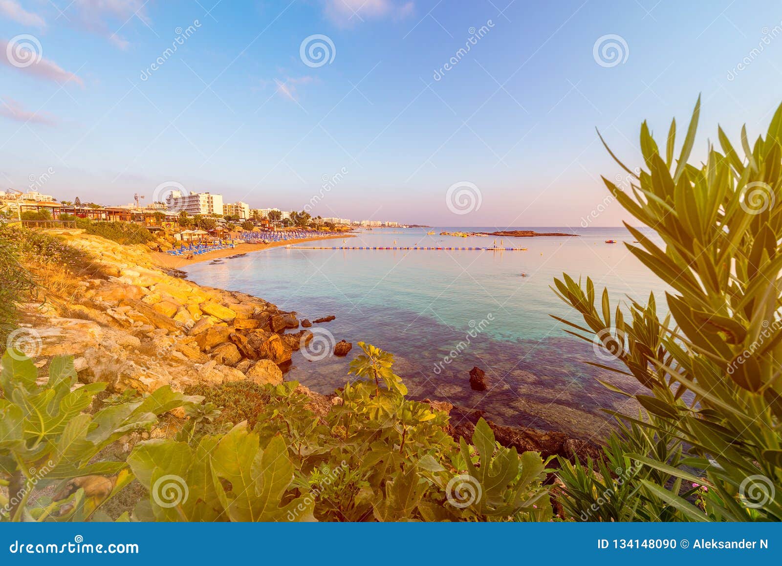 Fig Tree Bay Beach in Protaras, Cyprus Stock Photo - Image of green ...