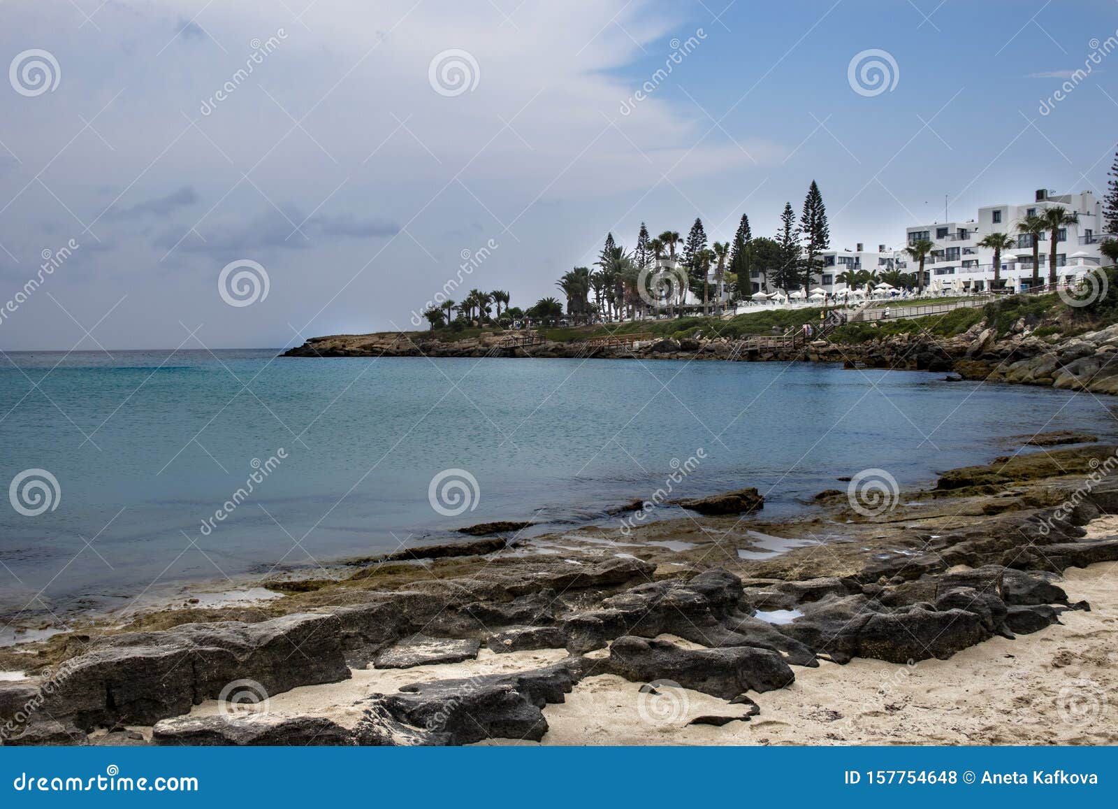 Fig tree bay on cyprus stock photo. Image of coast, mediterranean ...