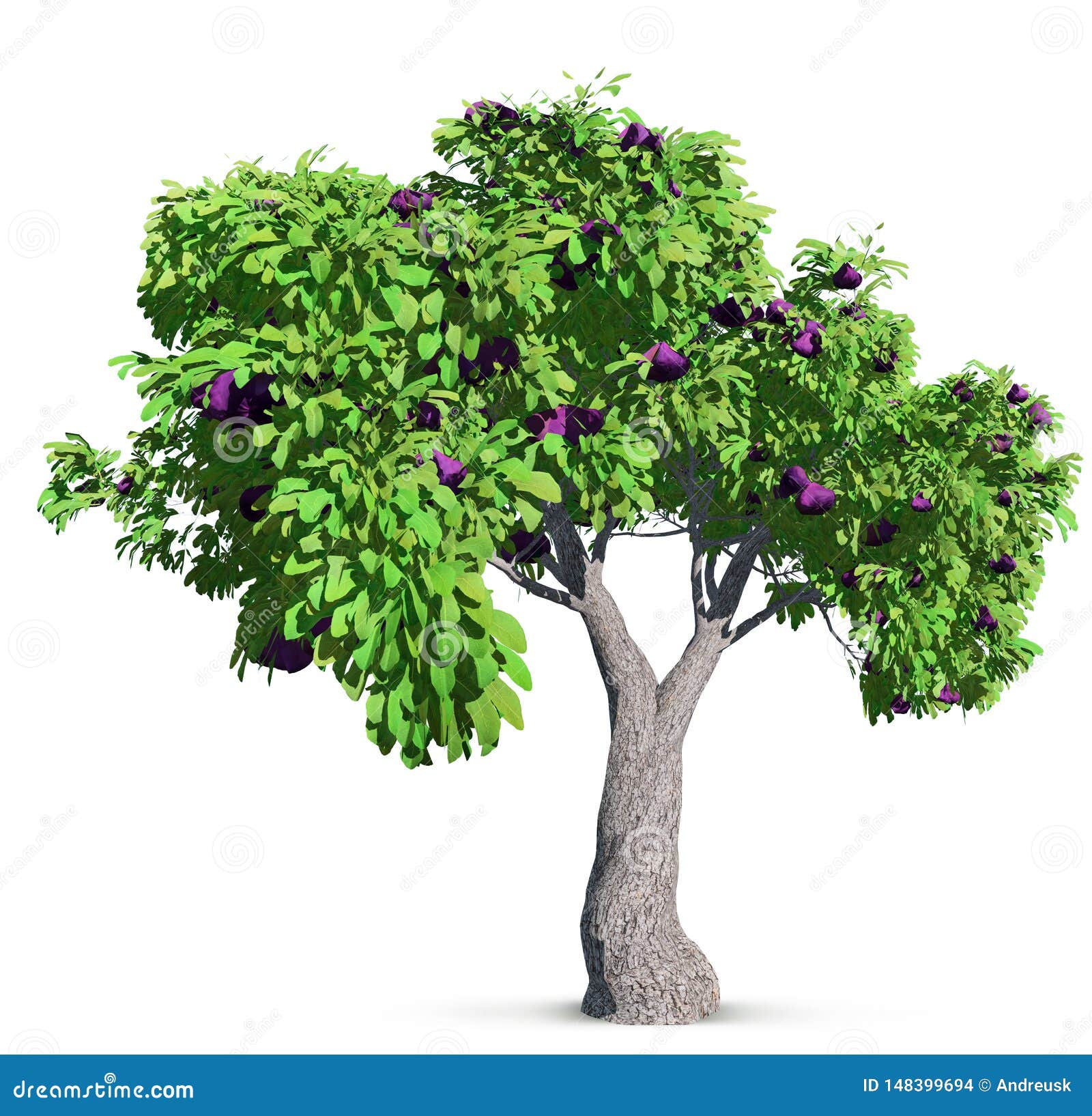 Fig Tree Isolated with High Detailed Leaves Stock Illustration ...