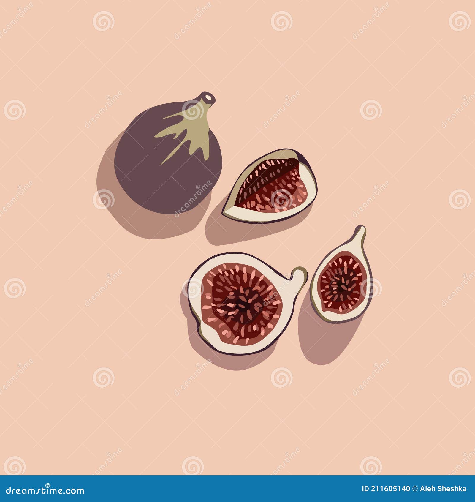 Fig vector art stock illustration. Illustration of wallpaper - 211605140