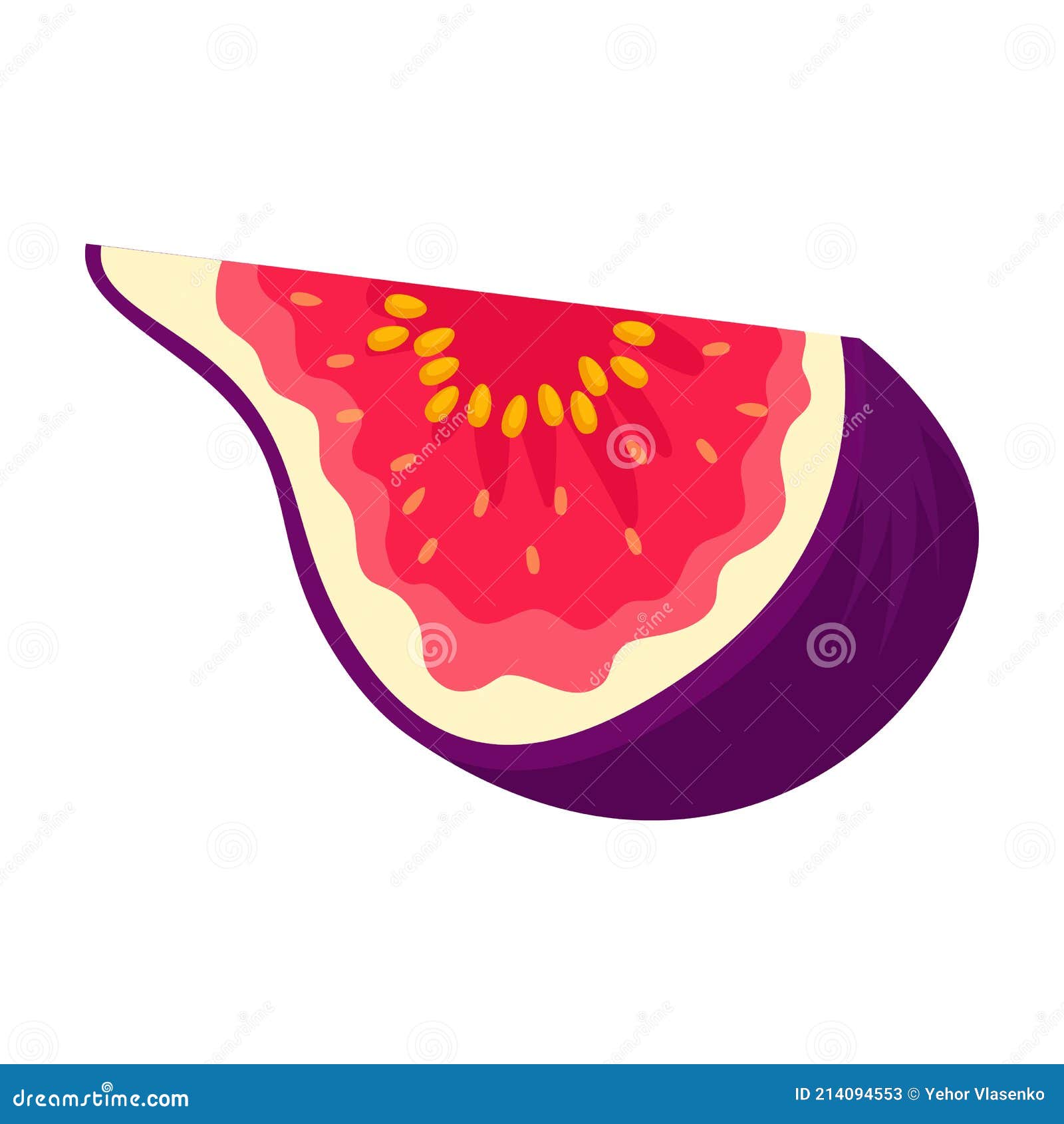 Fig Vector Icon.Cartoon Vector Icon Isolated on White Background Fig ...