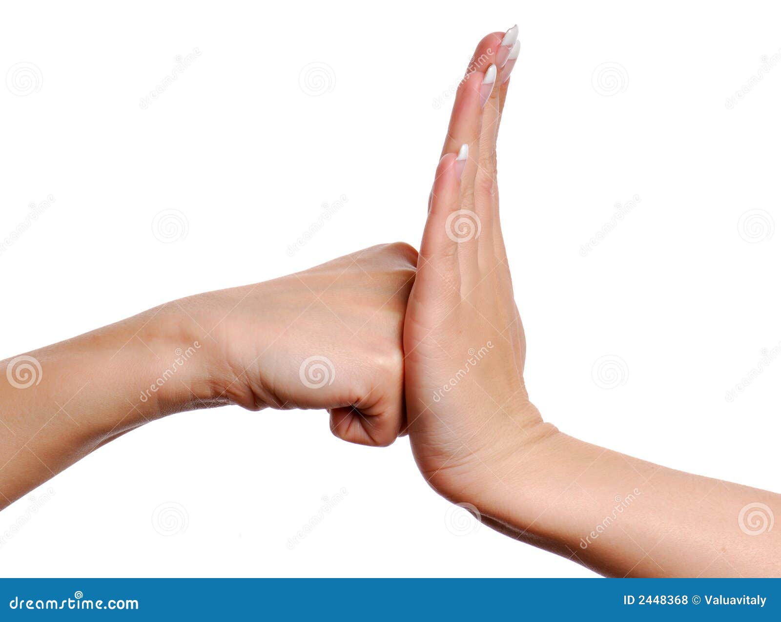 Fight stock photo. Image of stand, women, fight, females - 2448368