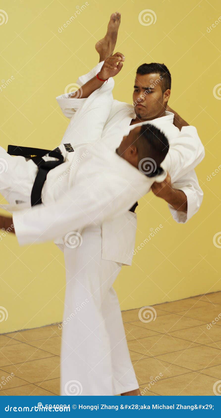 Fight stock photo. Image of instruction, arts, belt, fist - 5040094