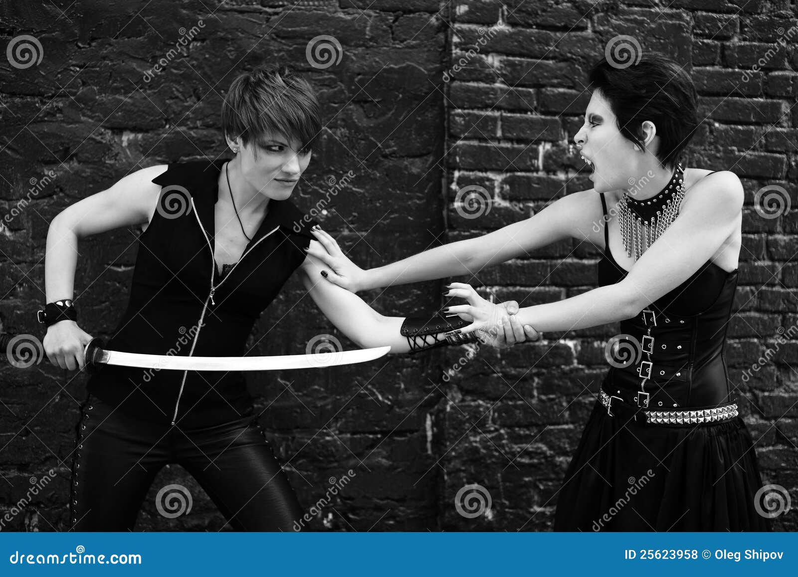 Fight against vampire stock photo. Image of horror, gothic - 25623958