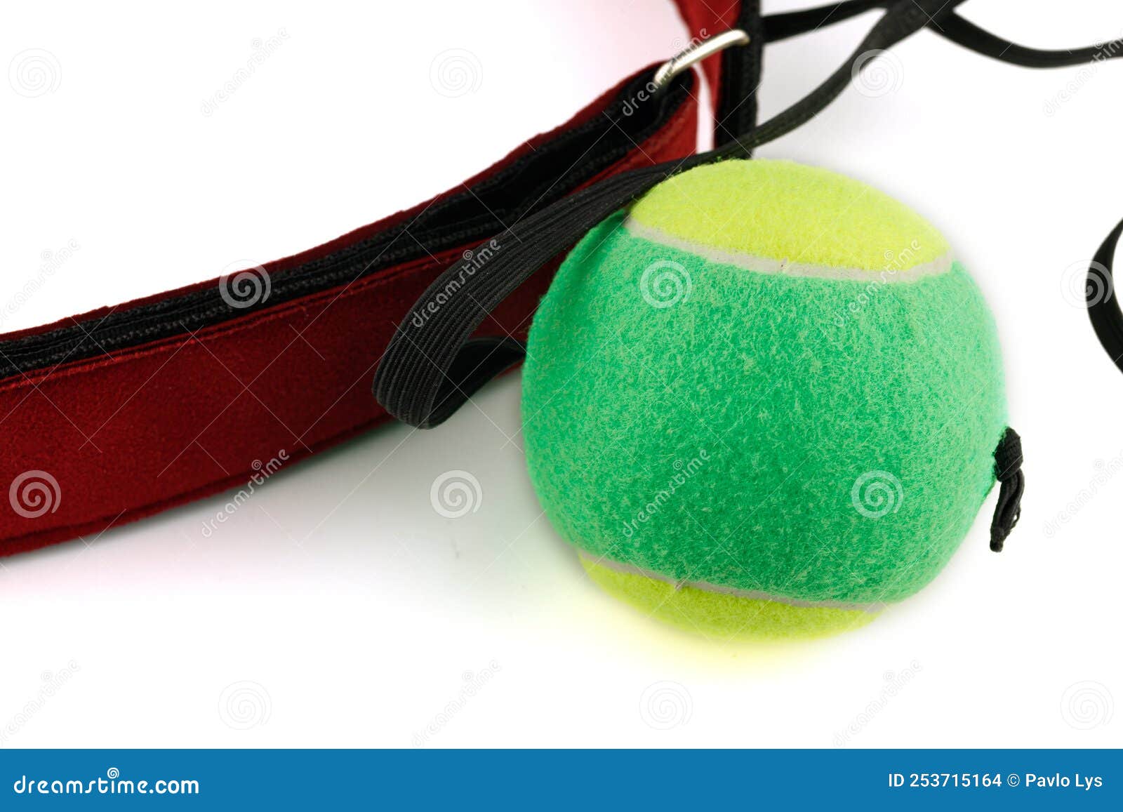 Fight Ball Training for Boxers Stock Photo - Image of chest, glove ...