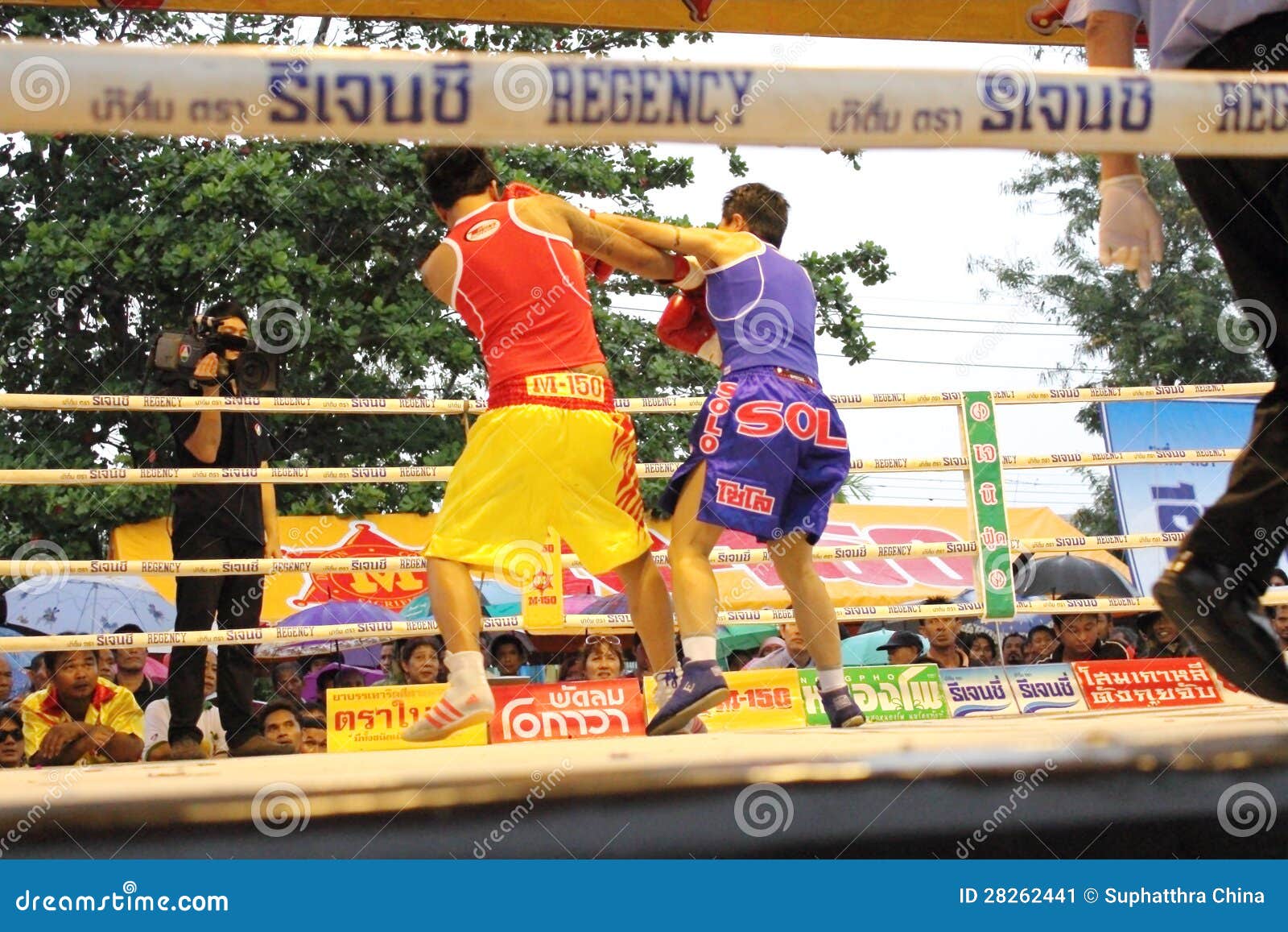 Fight boxing editorial photo. Image of fight, mixed, flyweight - 28262441