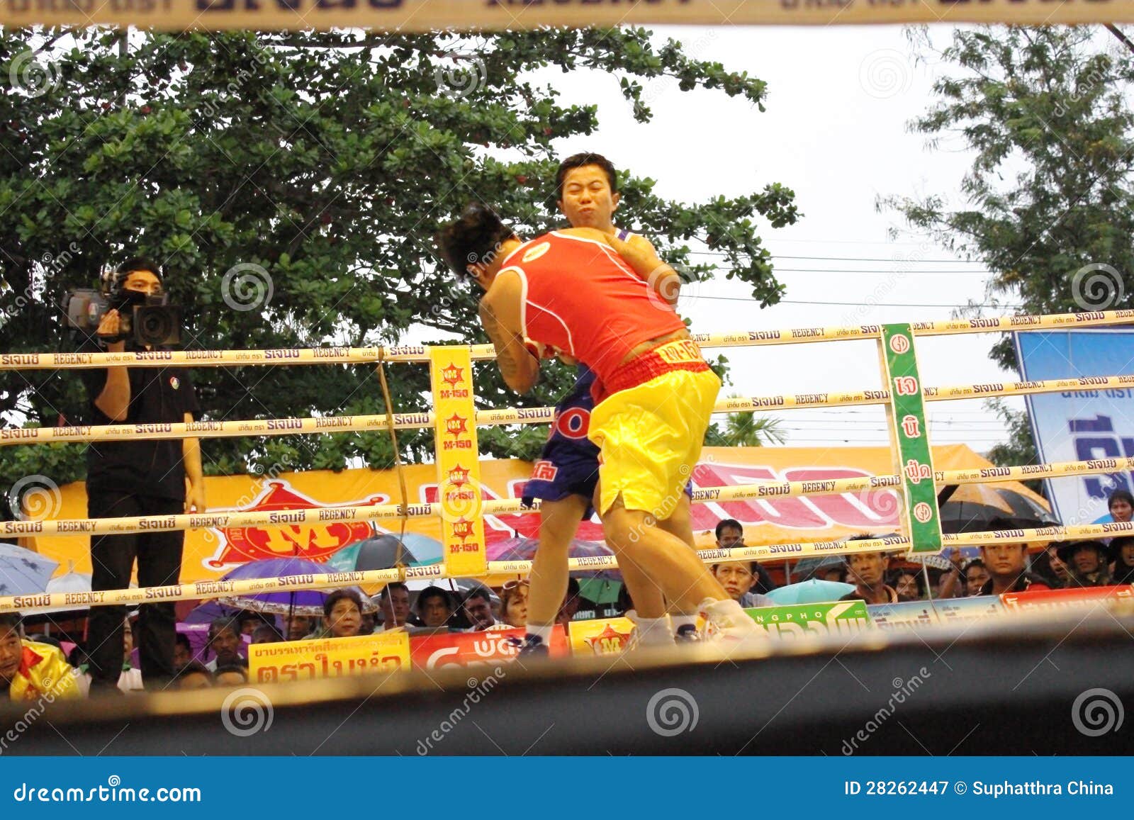 Fight boxing editorial photography. Image of professional - 28262447