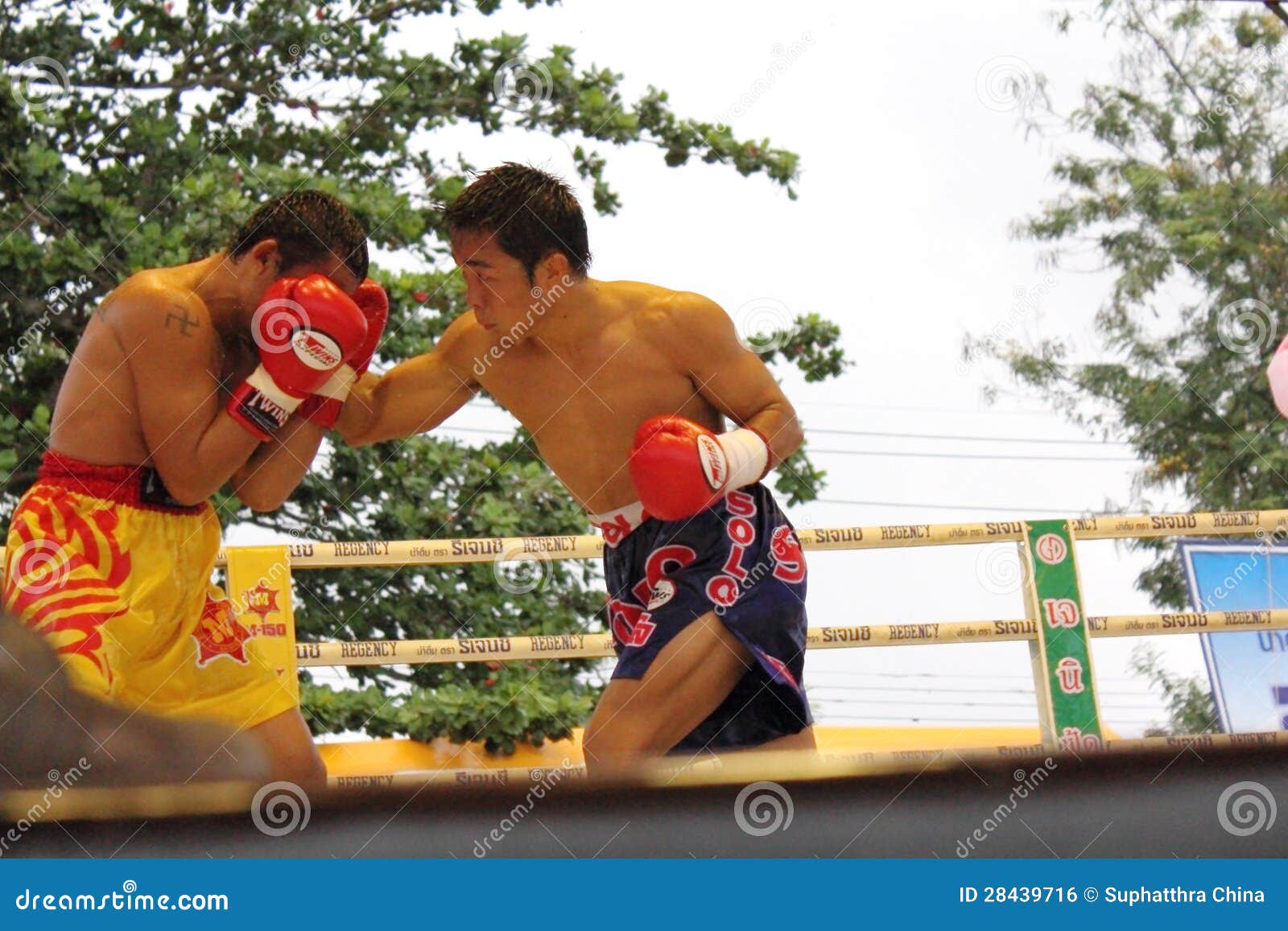 Fight boxing editorial photo. Image of mixed, combat - 28439716