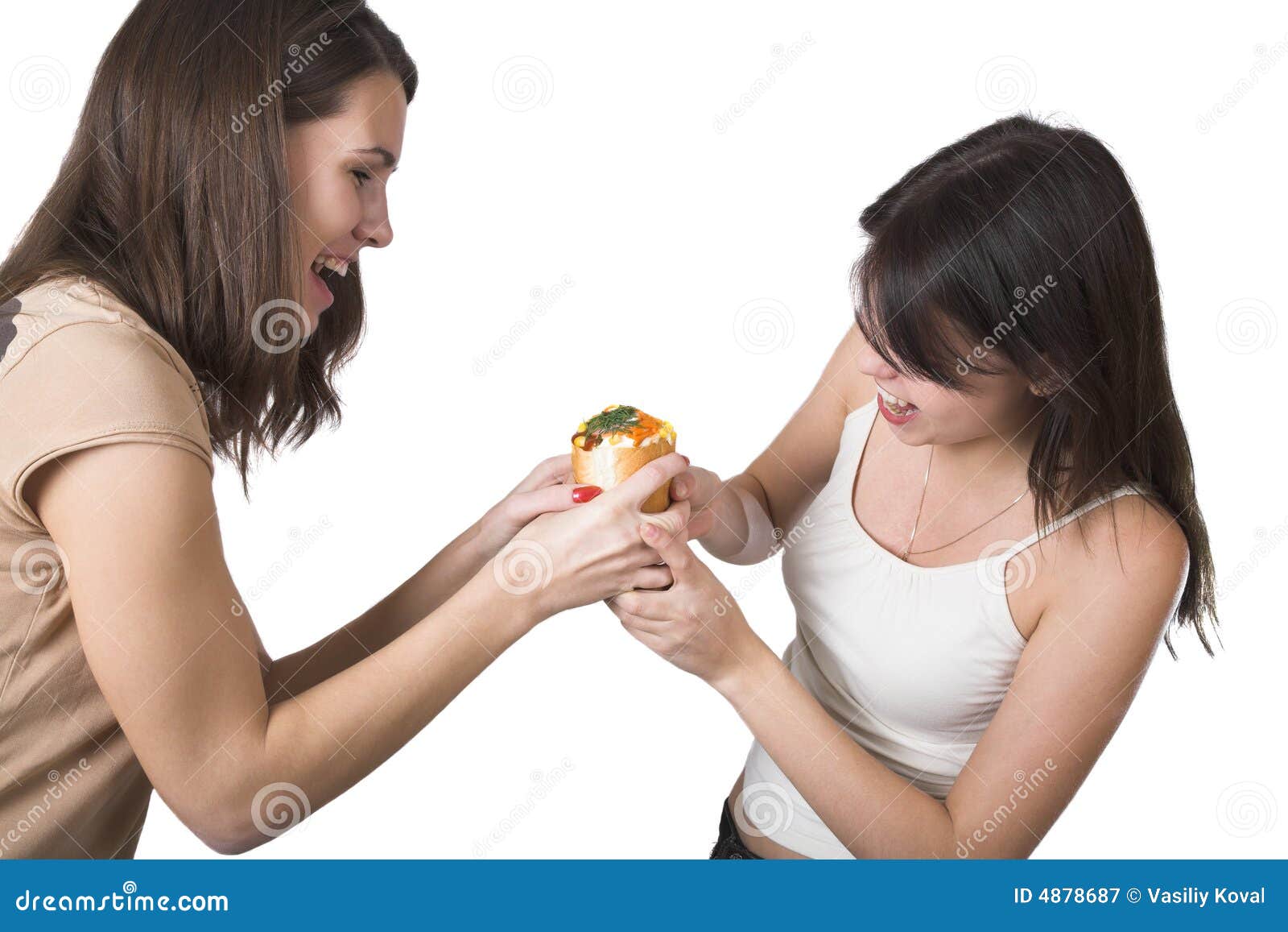 Fight for dinner stock image. Image of colored, lunch - 4878687