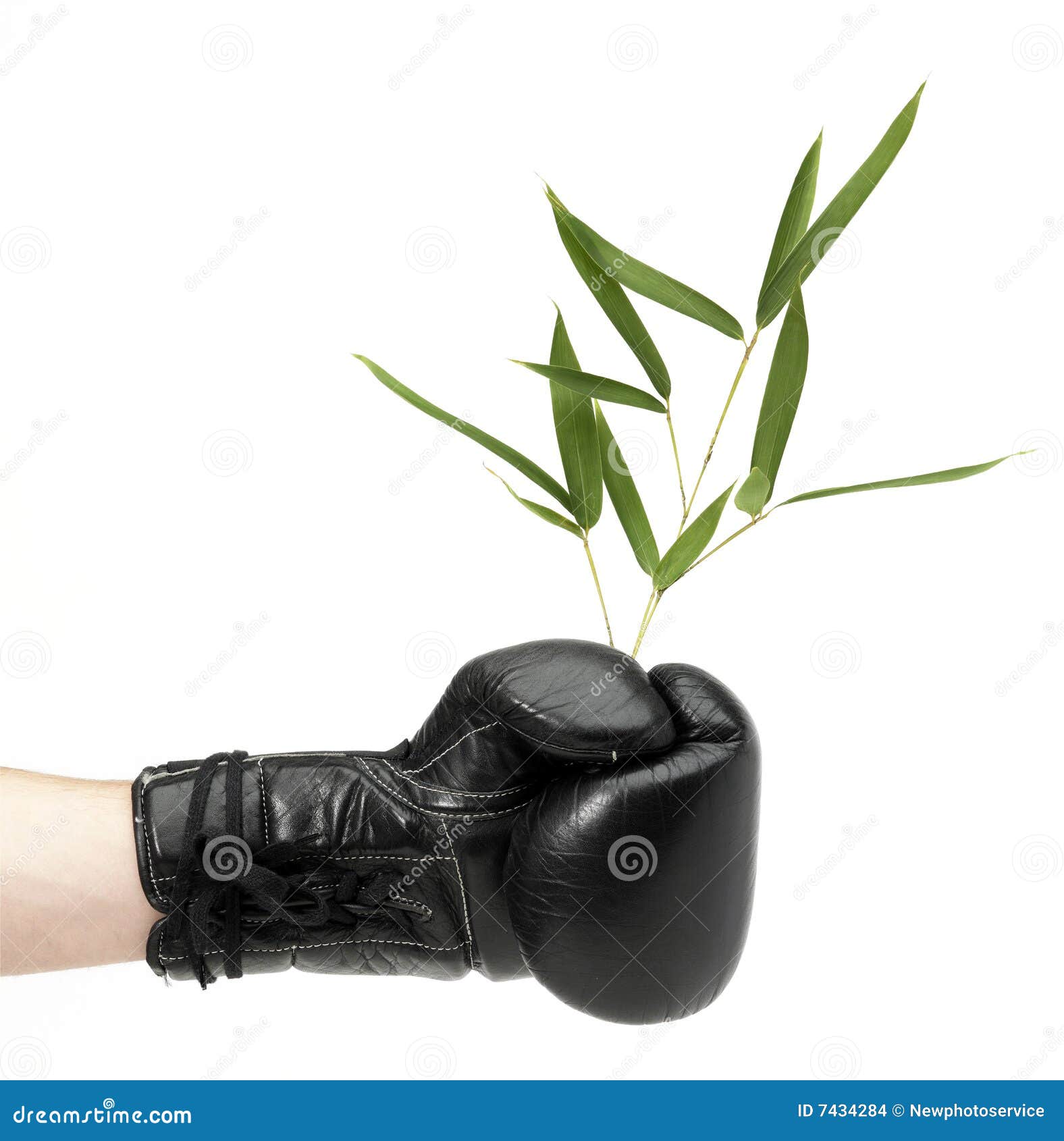 Fight for nature stock photo. Image of sport, technique - 7434284