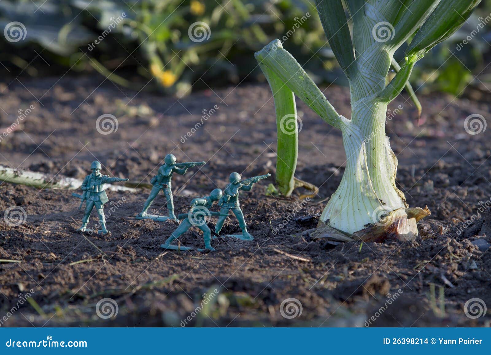 Fight the onion stock photo. Image of food, military - 26398214