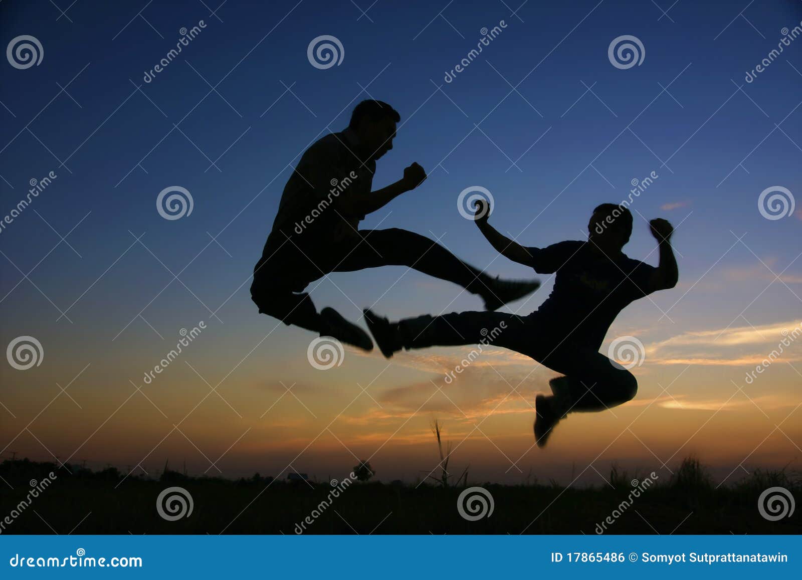 Fight shadow silhouette stock photo. Image of martial - 17865486