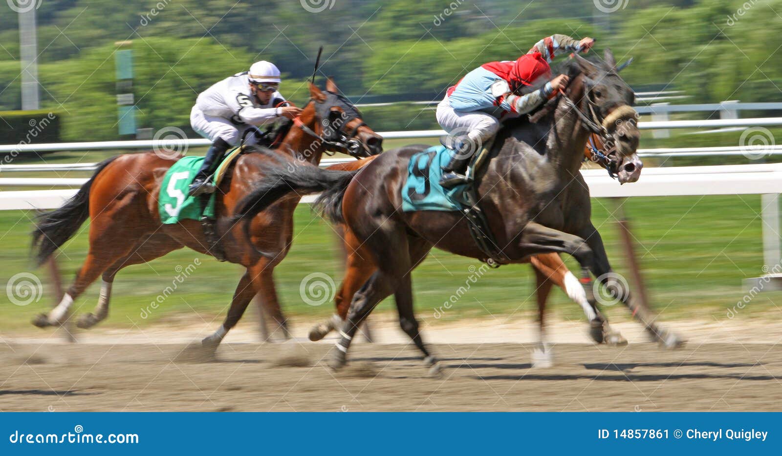 Fight to the Finish editorial photo. Image of compete - 14857861